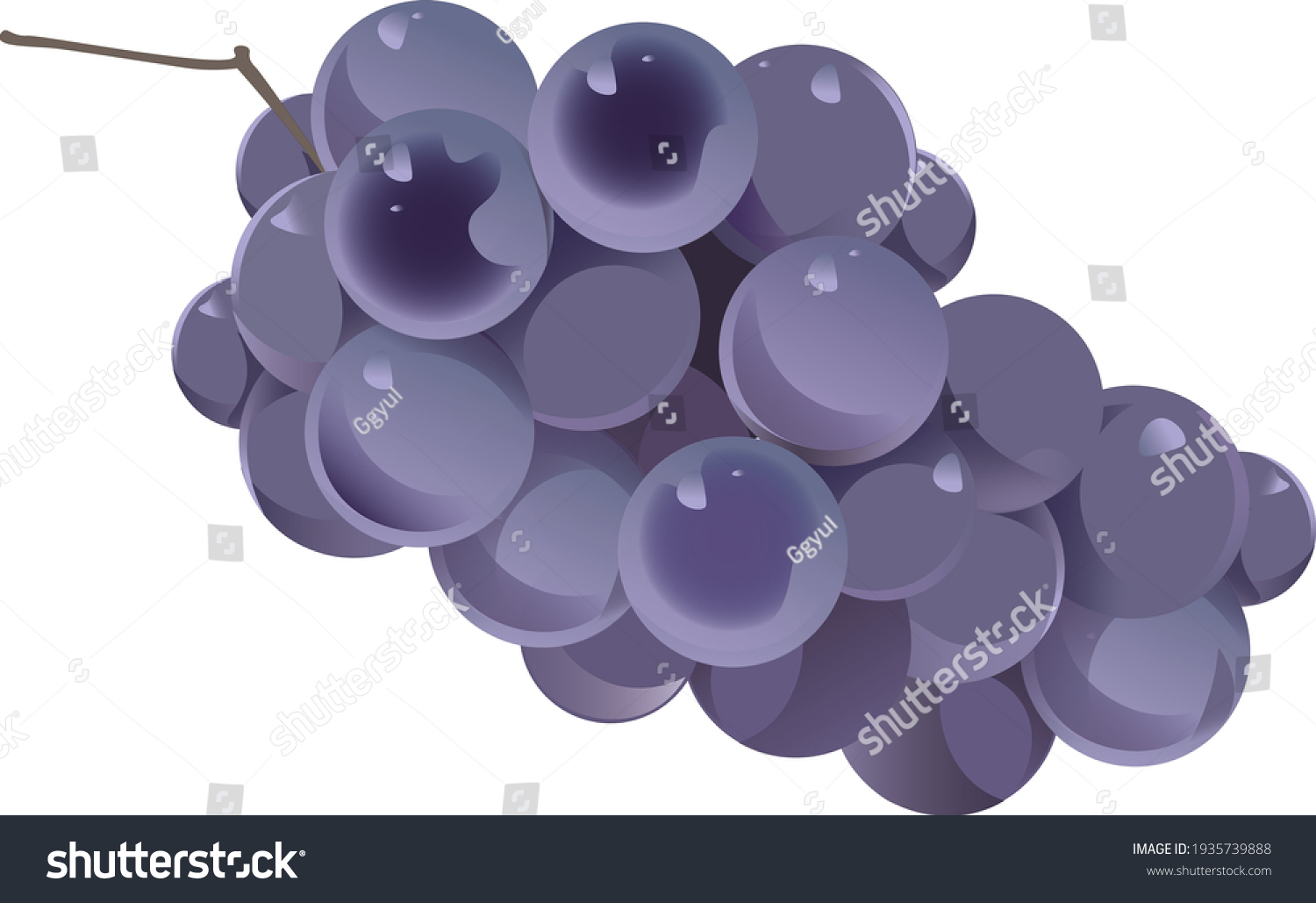 Soft Grape Vector Illustration Stock Vector (Royalty Free) 1935739888 ...