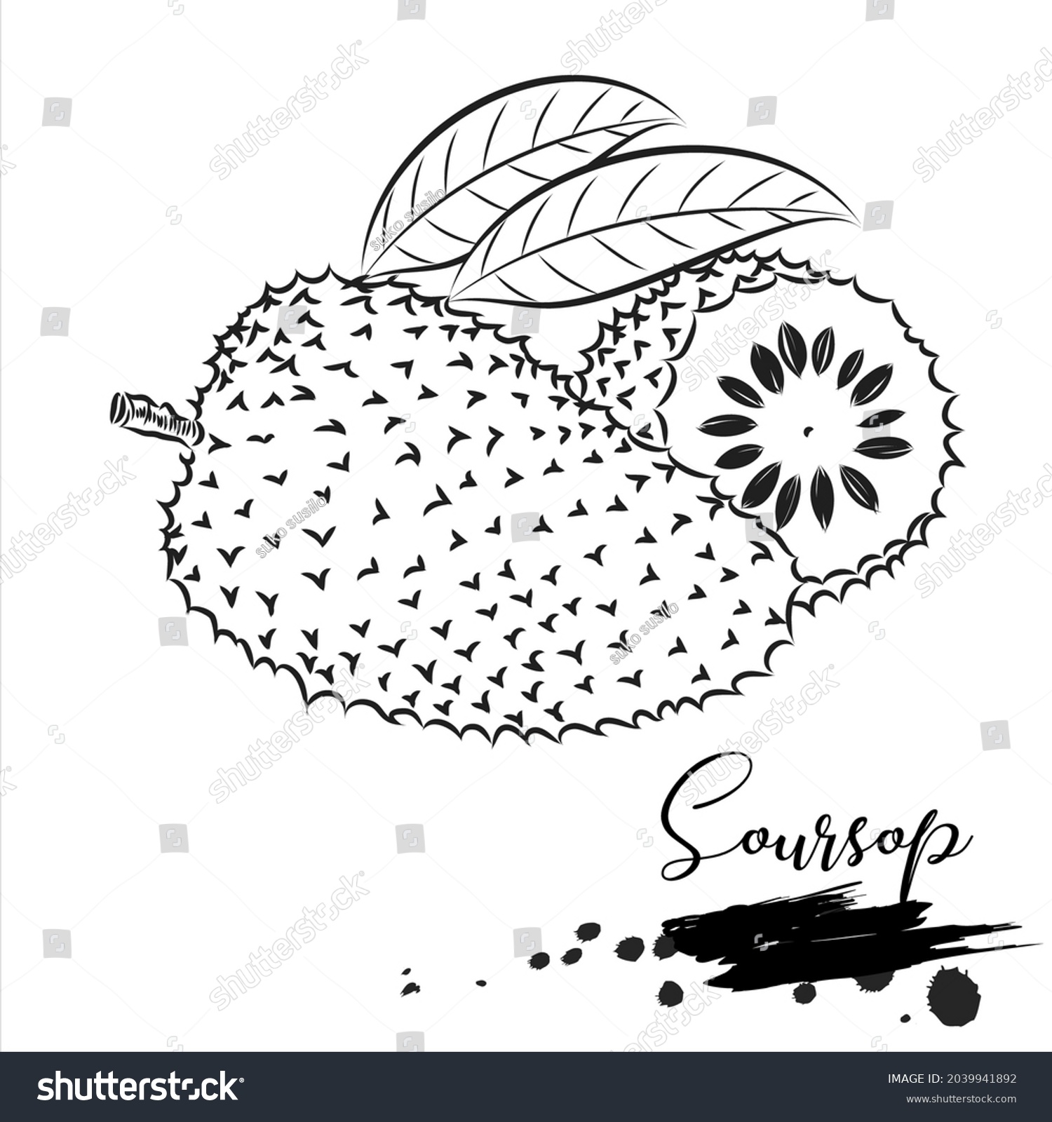 563 Soursop drawing Stock Illustrations, Images & Vectors | Shutterstock