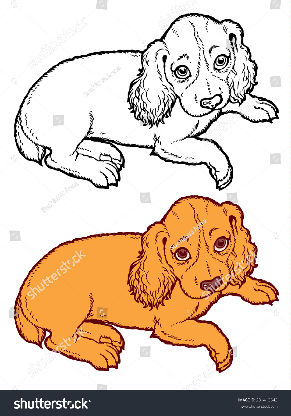 Spaniel Puppy Dog Hand Drawing Vector Stock Vector (Royalty Free ...