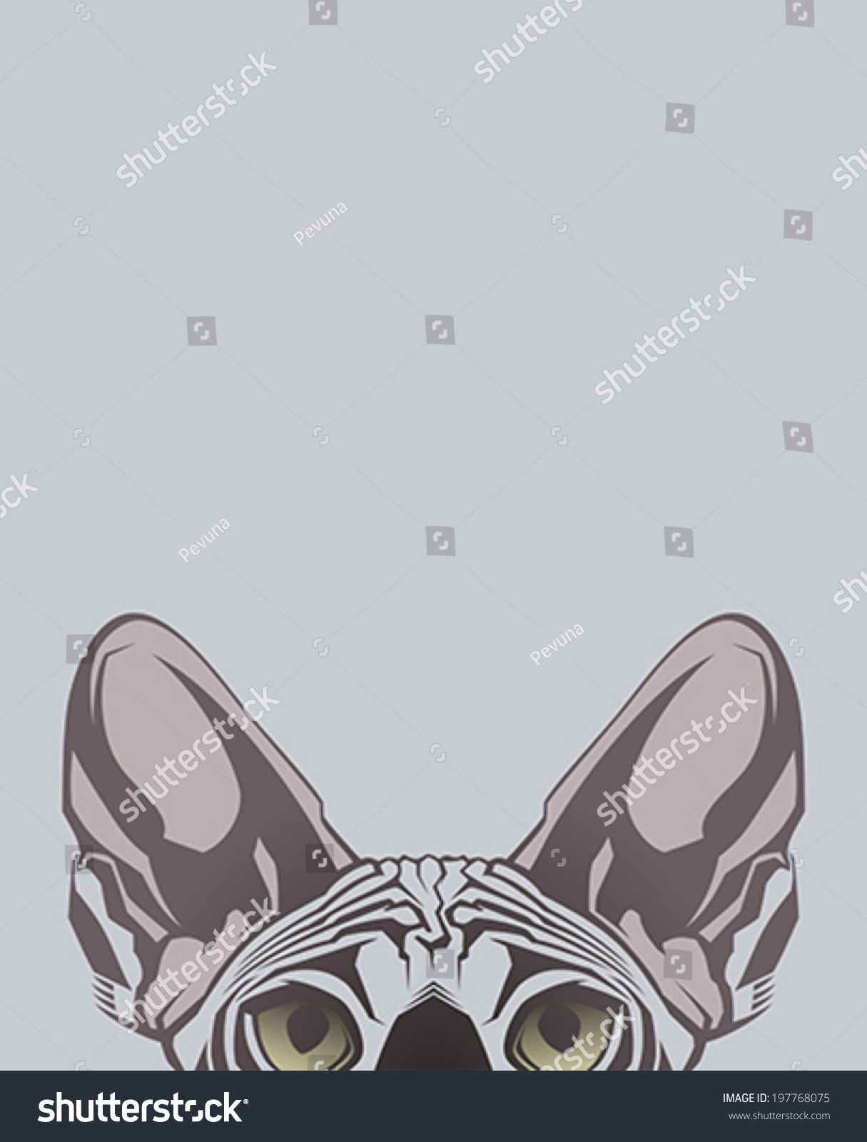 Sphynx Cat. Vector Illustration - 197768075 : Shutterstock