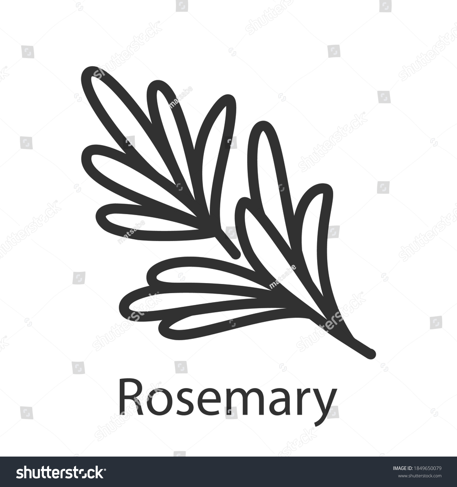 9,601 Rosemary icon Images, Stock Photos & Vectors | Shutterstock