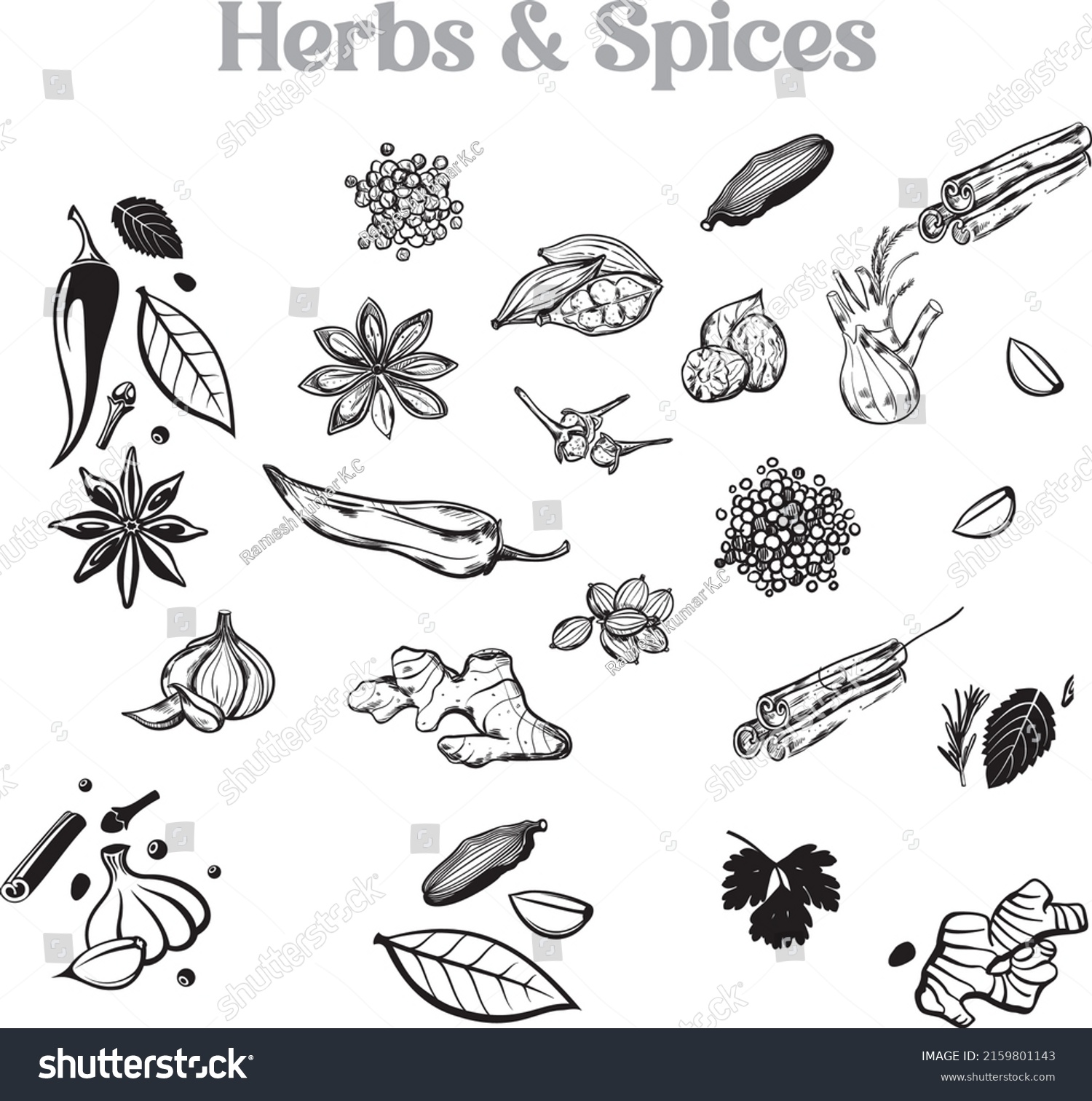 Spices Herbs Vector Illustrations Stock Vector (Royalty Free ...