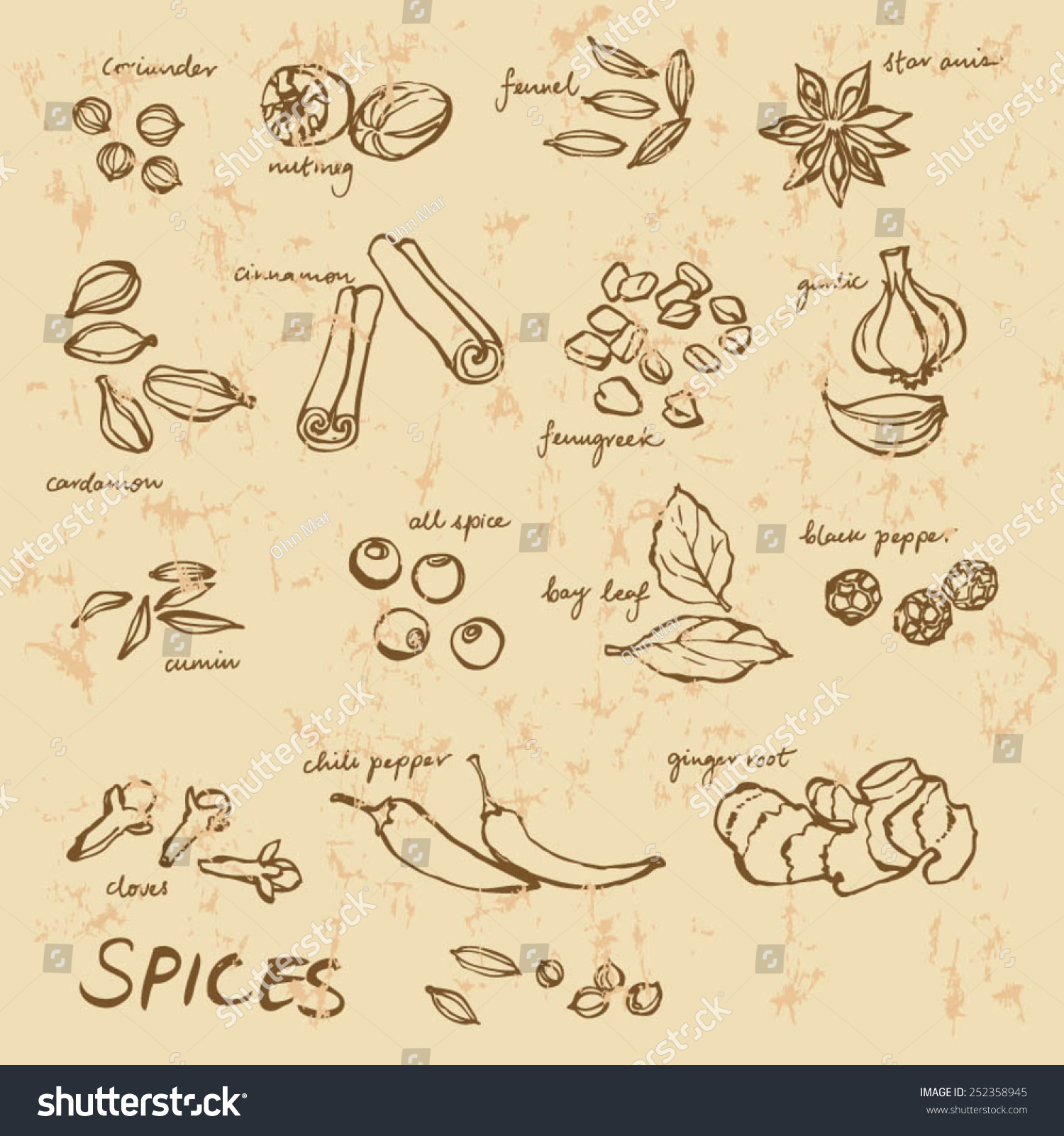 Spices Doodles Vector Set: เวกเตอร์สต็อก (ปลอดค่าลิขสิทธิ์) 252358945 | Shutterstock