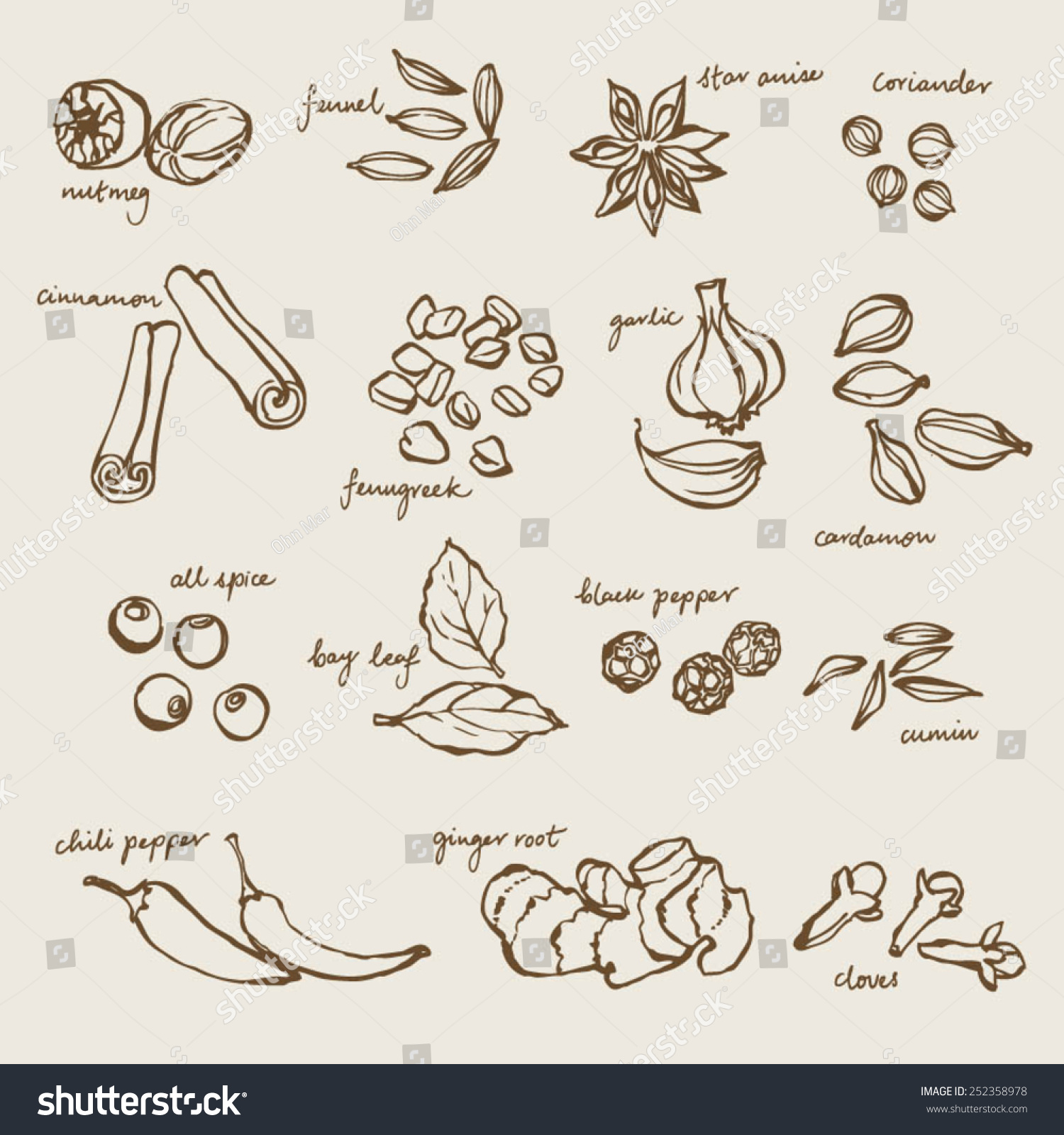Spices Doodles Vector Set: vetor stock (livre de direitos) 252358978