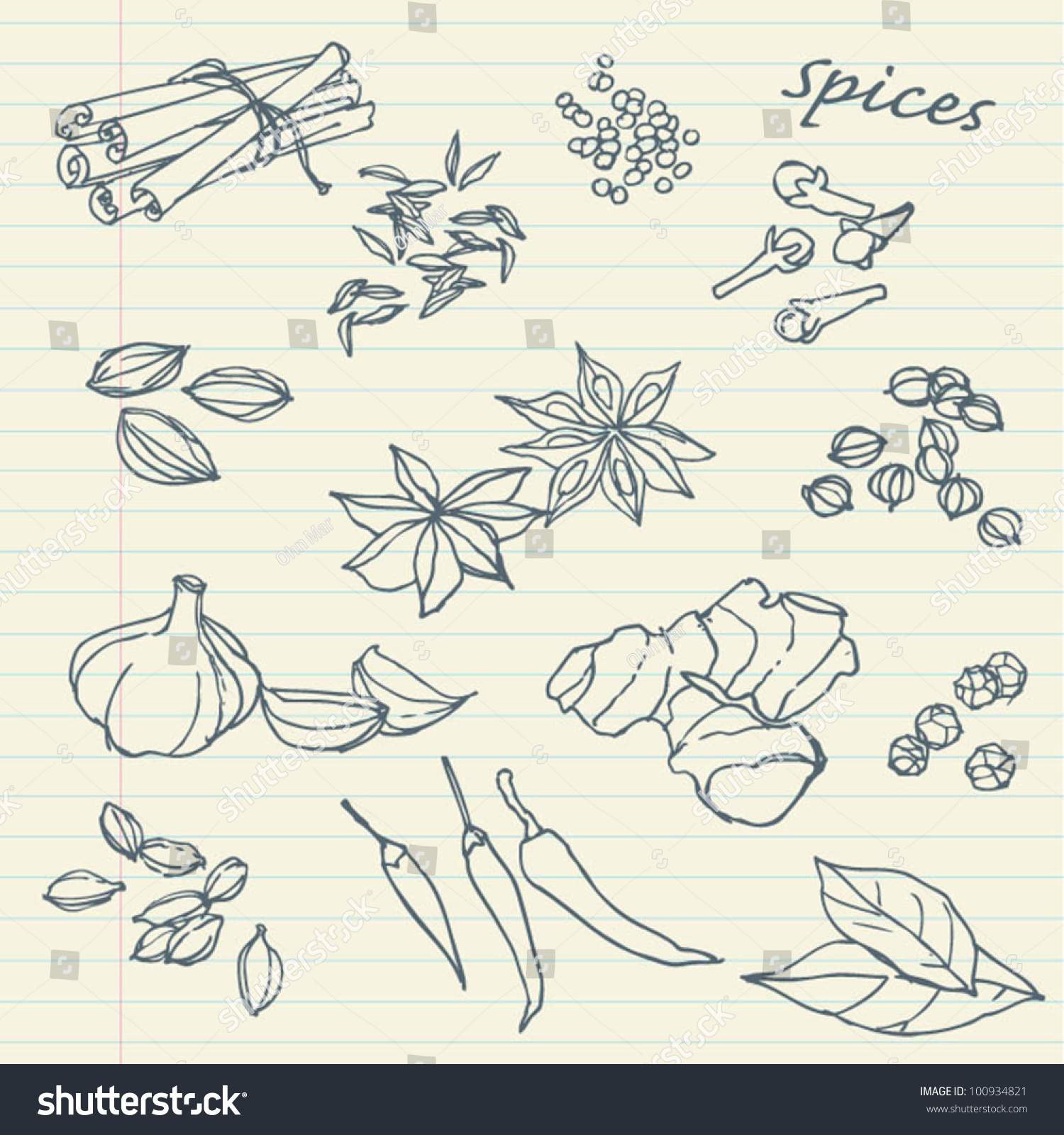 Spices Sketchy Doodles Vector Set Stock Vector (Royalty Free) 100934821