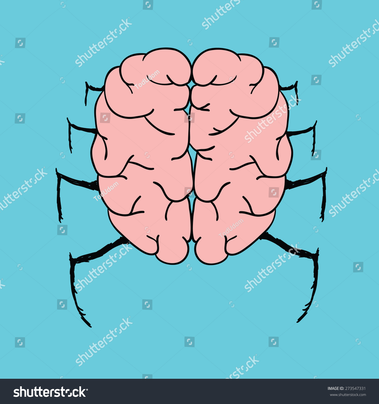 Spider Brain Free Hand Drawing Vector 스톡 벡터(로열티 프리) 273547331 ...