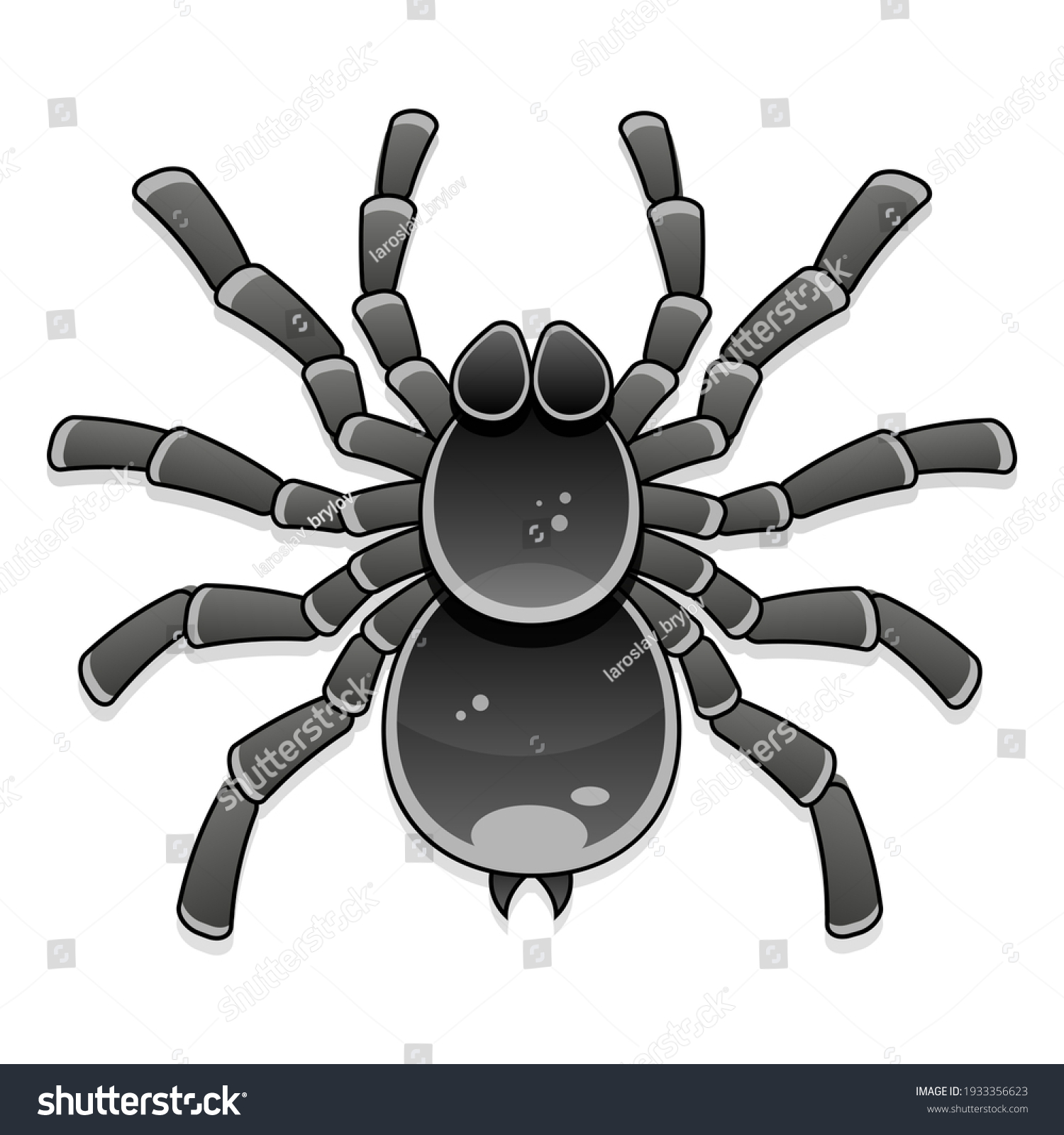 Spider Tarantula Vector Color Drawing Vector: เวกเตอร์สต็อก (ปลอดค่า ...