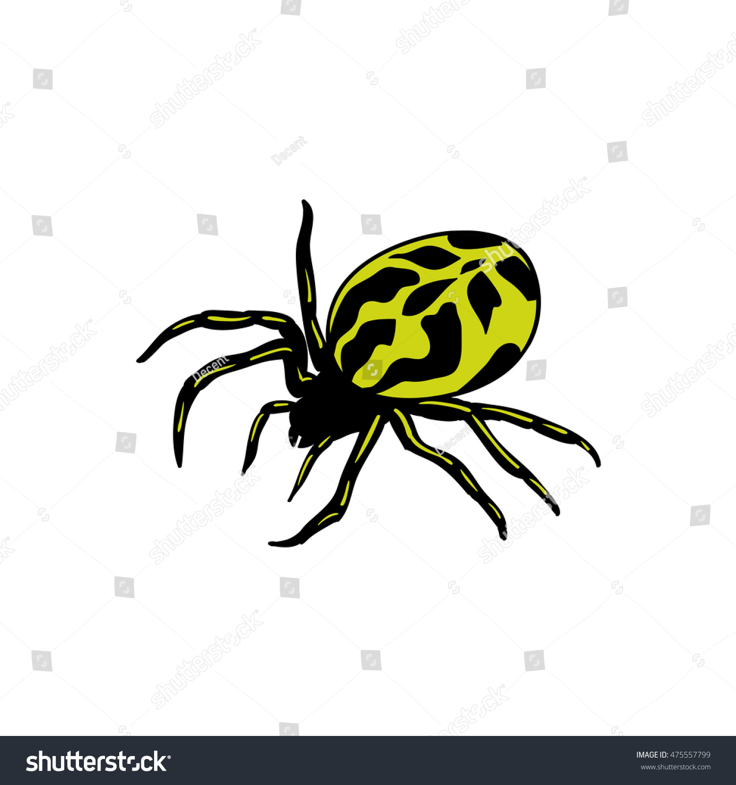 Spider Two Tone Isolated On White Stock Vector (Royalty Free) 475557799
