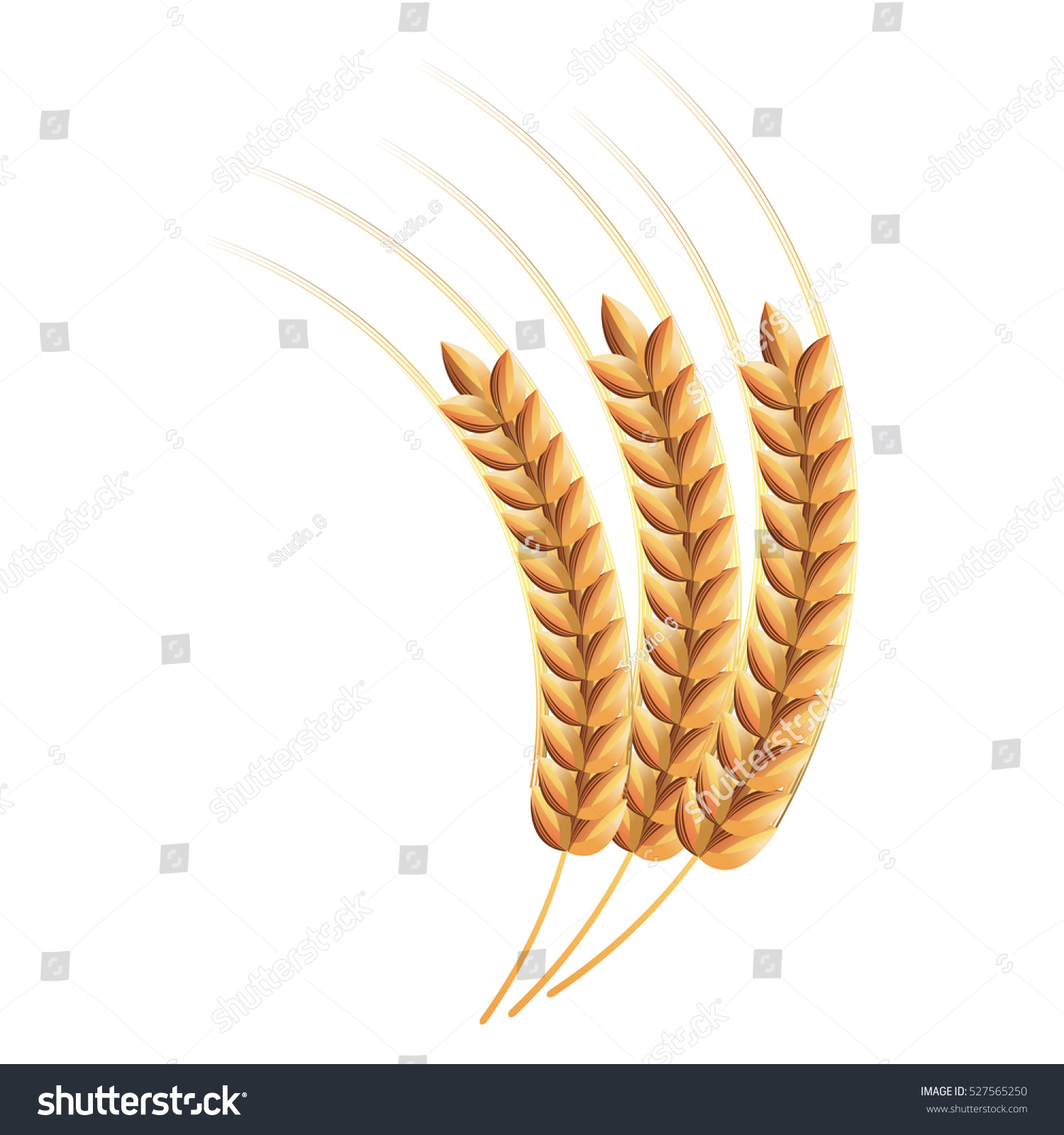 Spikes Natural Icon Stock Vector (Royalty Free) 527565250 | Shutterstock