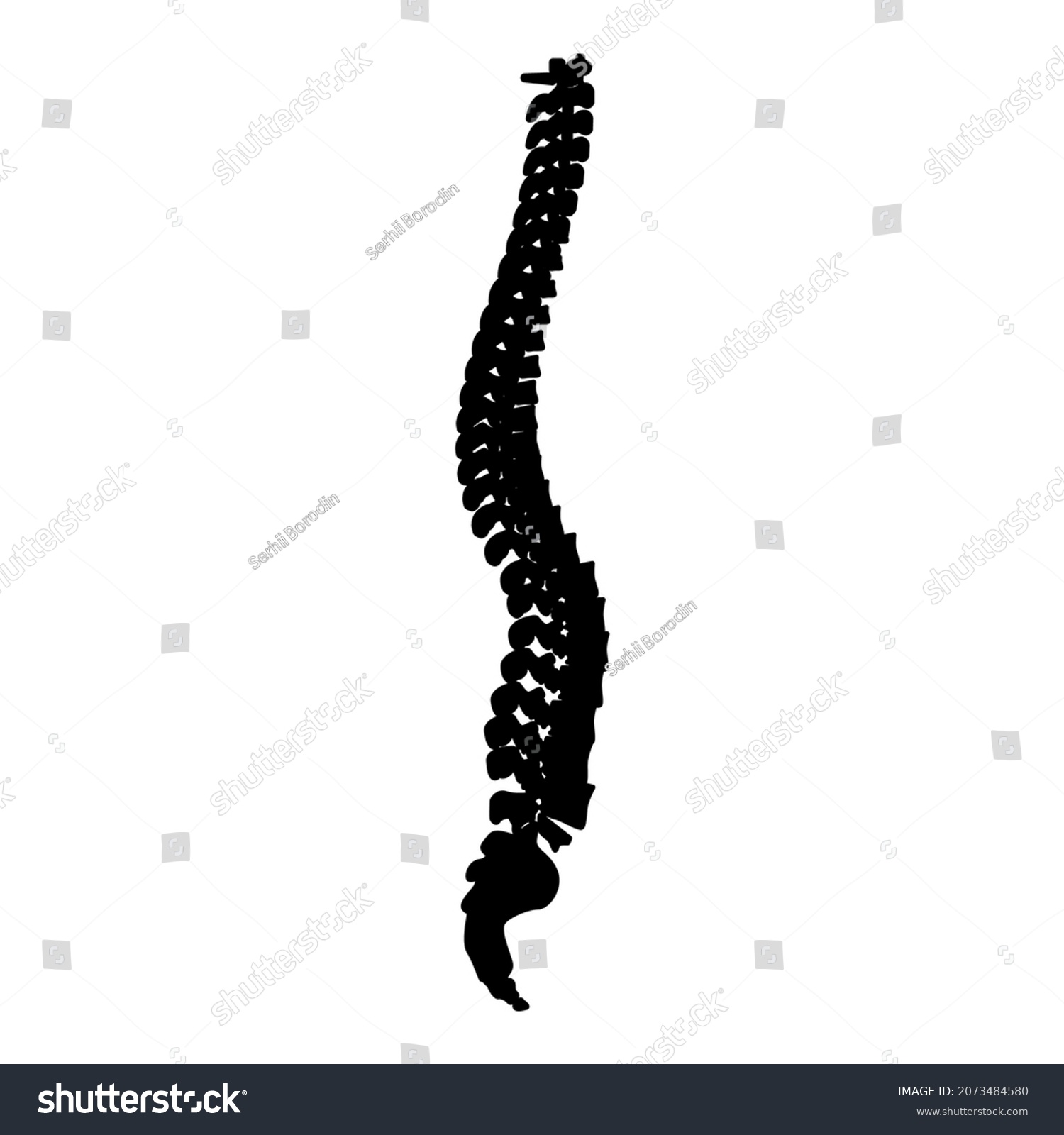 Spinal Vertebral Column Spine Backbone Icon Stock Vector (Royalty Free ... Spinal Vertebral Column Spine Backbone Icon Stock Vector (Royalty Free ...