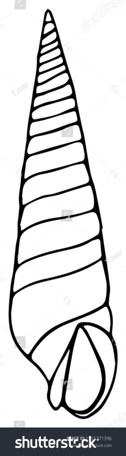 Spiral Shell Outline Drawing Vector Illustration Stock Vector (Royalty ...
