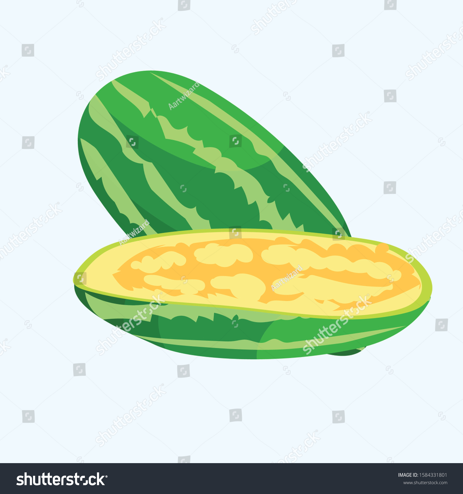 Sponge Gourd Vector Isolated Illustration Stock Vector (Royalty Free ...