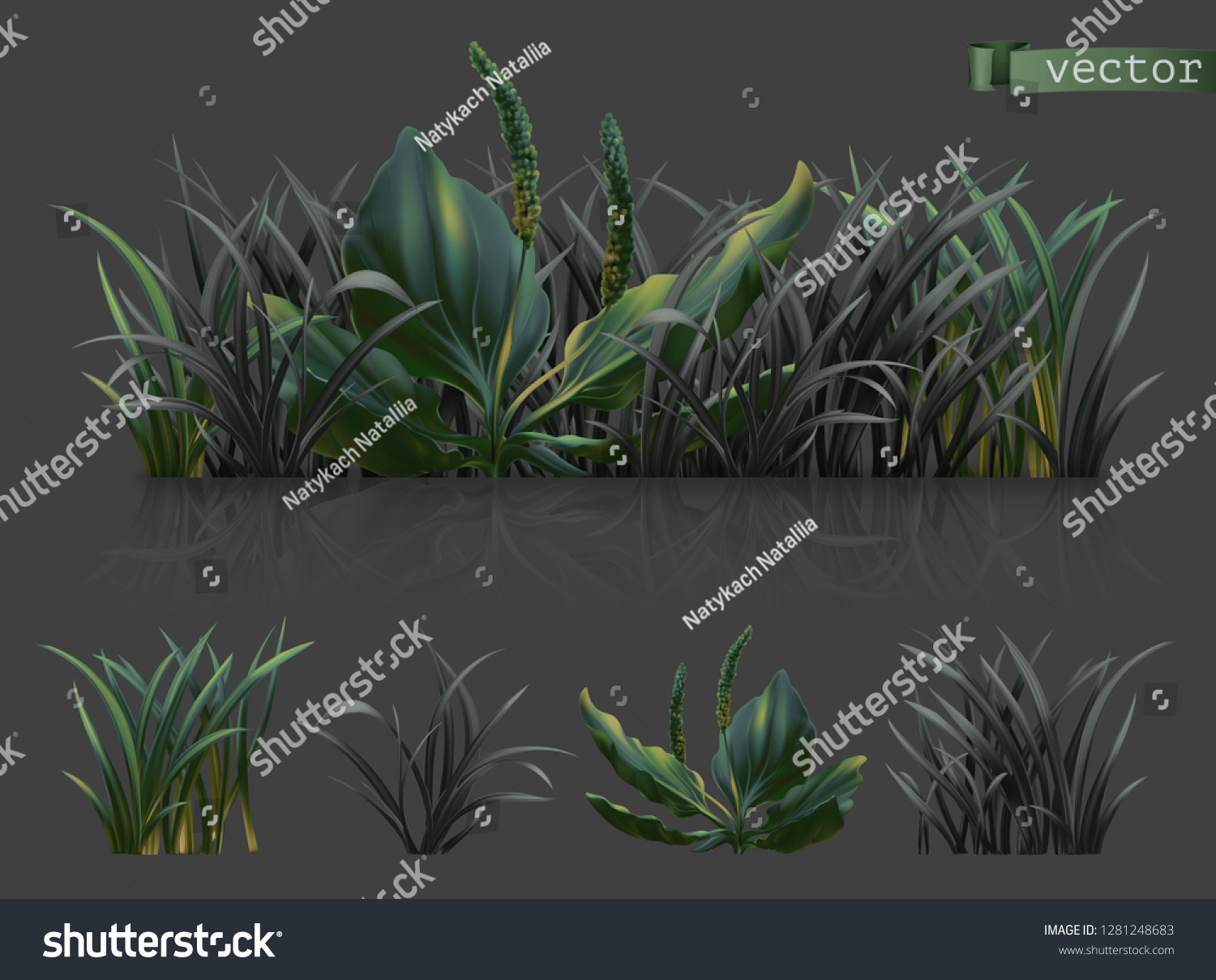 Spring Dark Green Grass 3d Realistic Stock Vector (Royalty Free ...