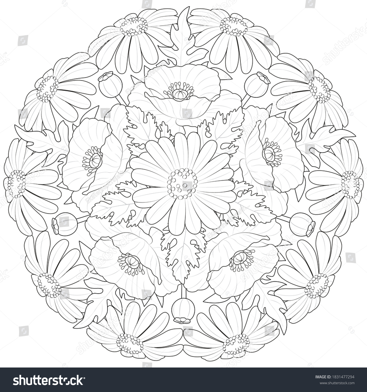 Spring Flower Mandala Daisies Vector Stock Vector (Royalty Free ...