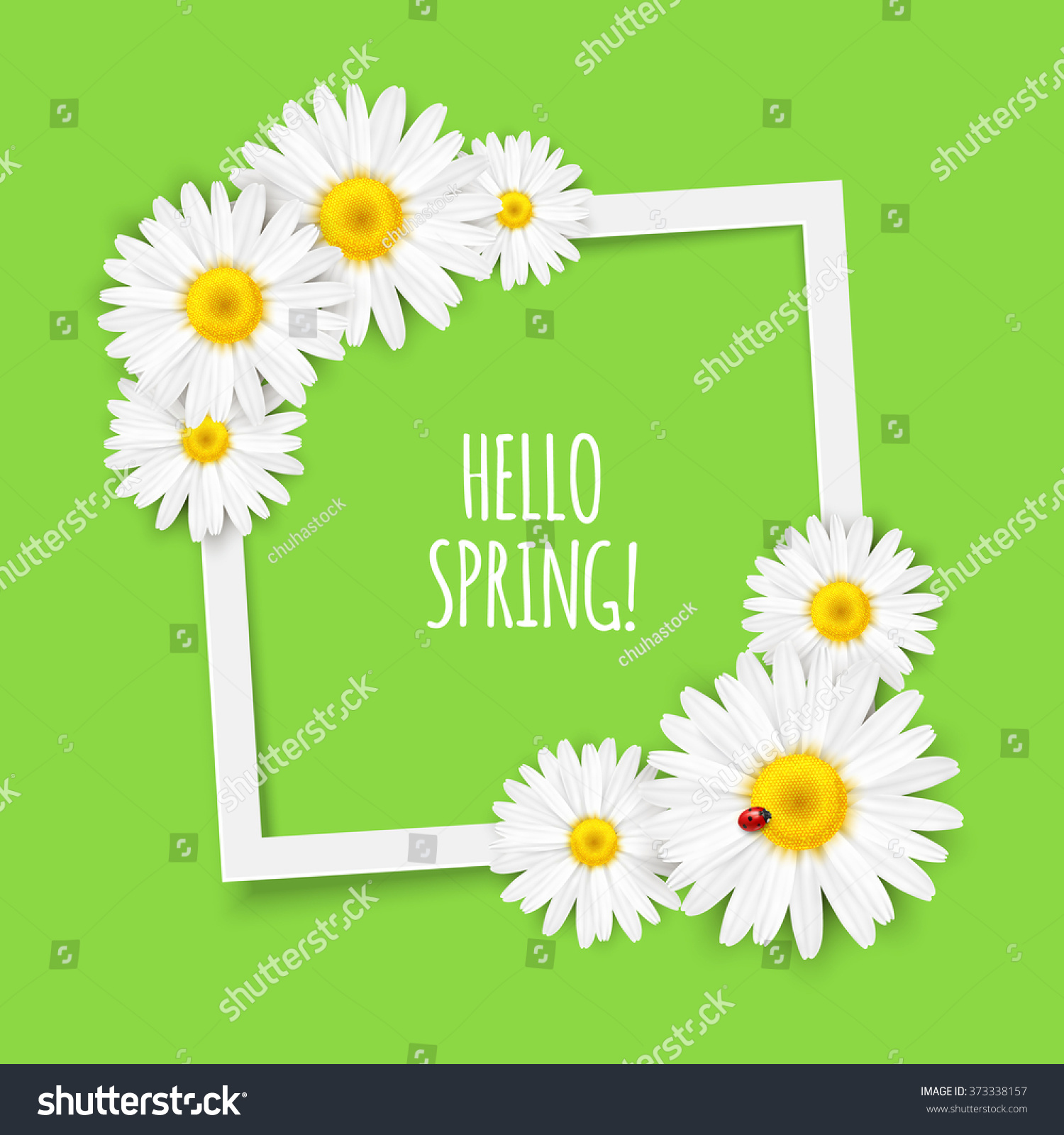 Spring Flowers Frame Composition Bright Spring Stock Vector (Royalty ...