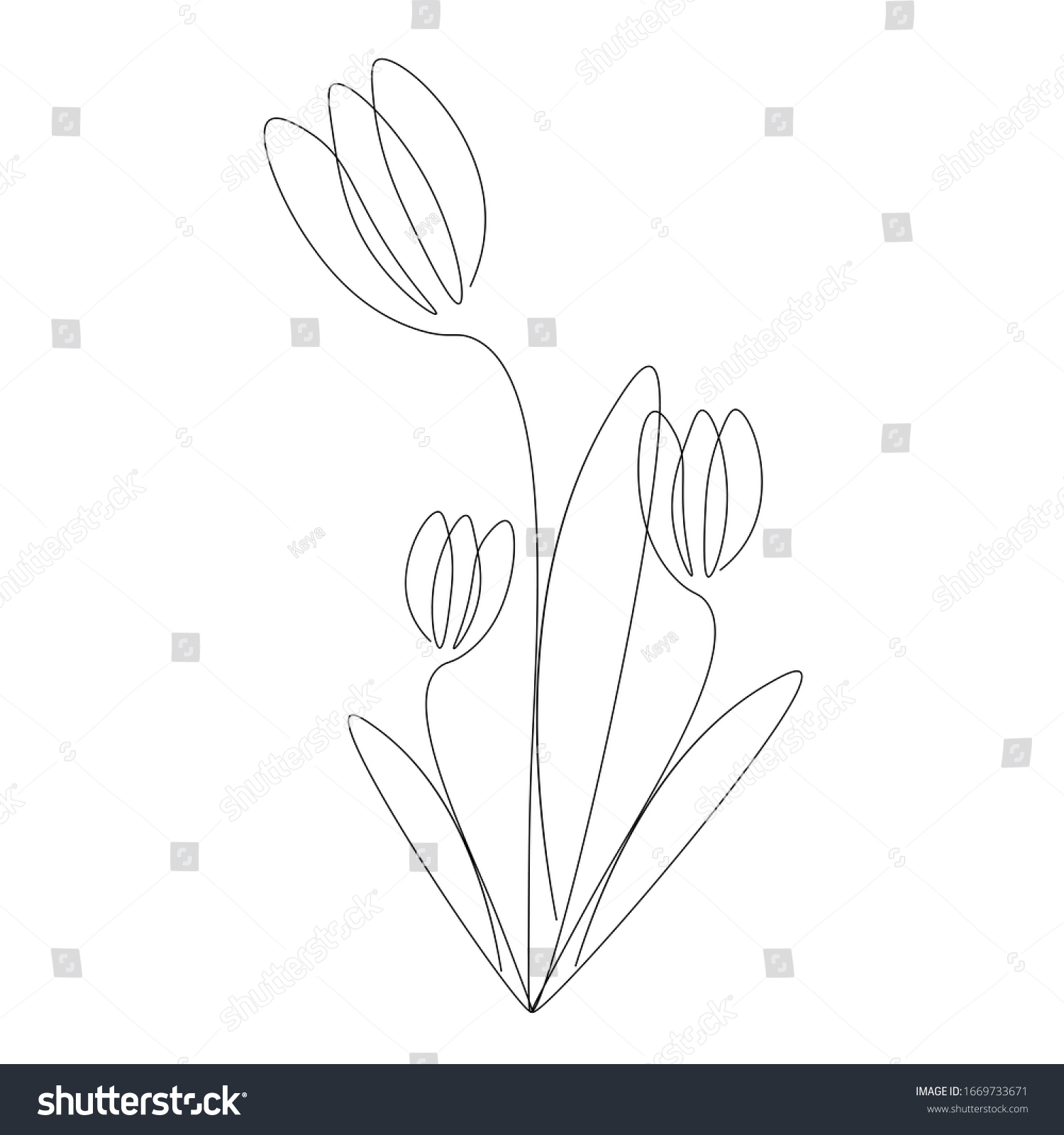 Spring Flowers Line Draw Vector Illustration Stock Vector (Royalty Free ...