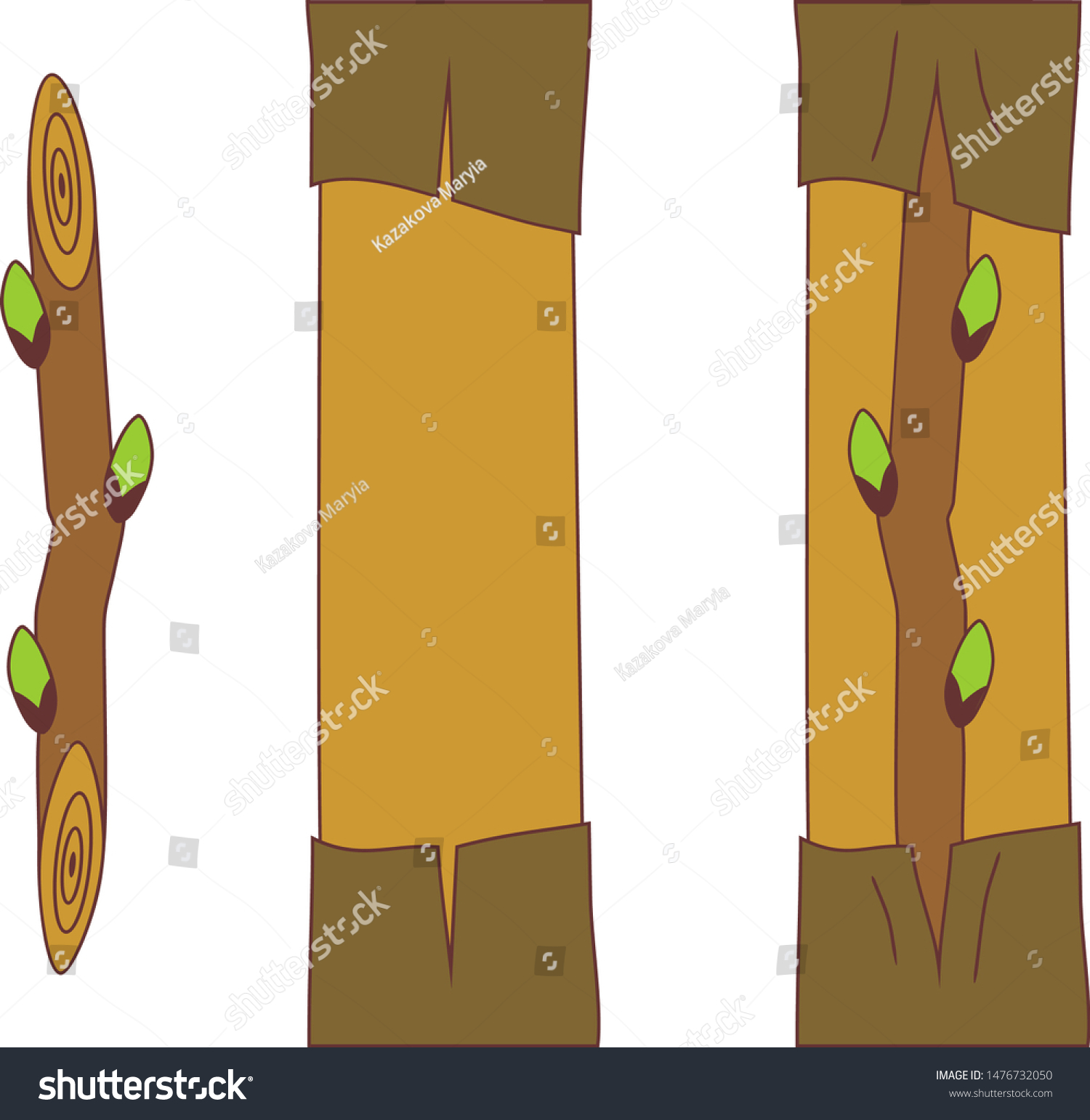 31 Bridge grafting Images, Stock Photos & Vectors | Shutterstock