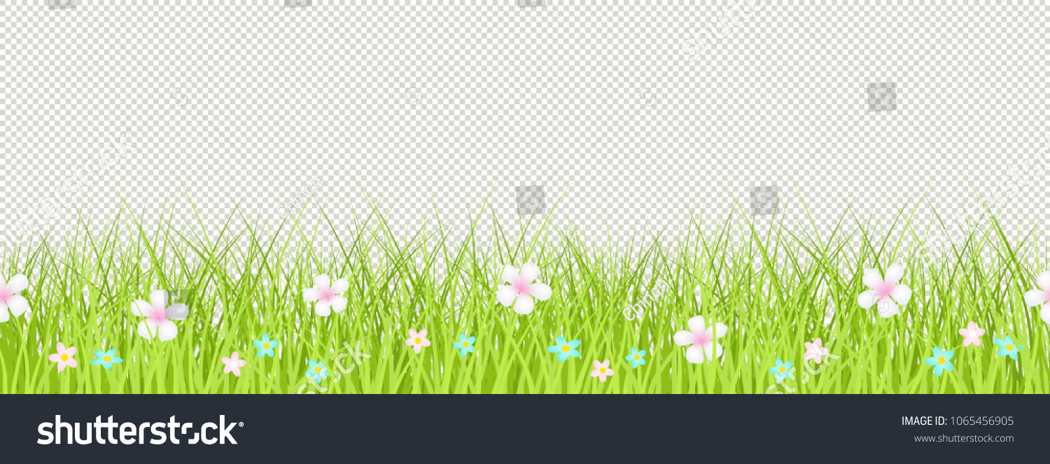 Spring Grass Flower Seamless Border Easter Stock Vector (Royalty Free ...