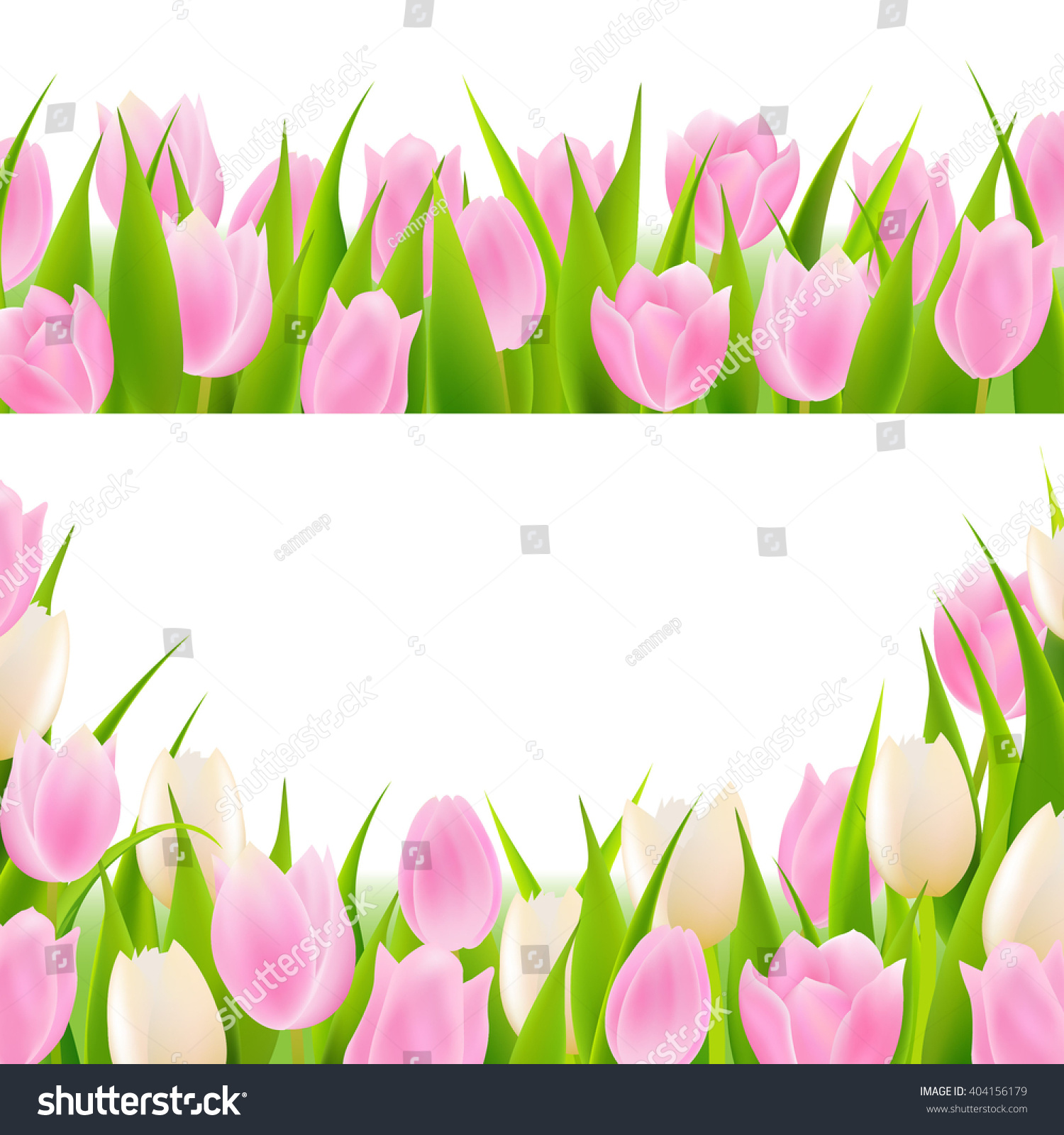 Spring Pink Tulip Borders Set Gradient Stock Vector (Royalty Free ...