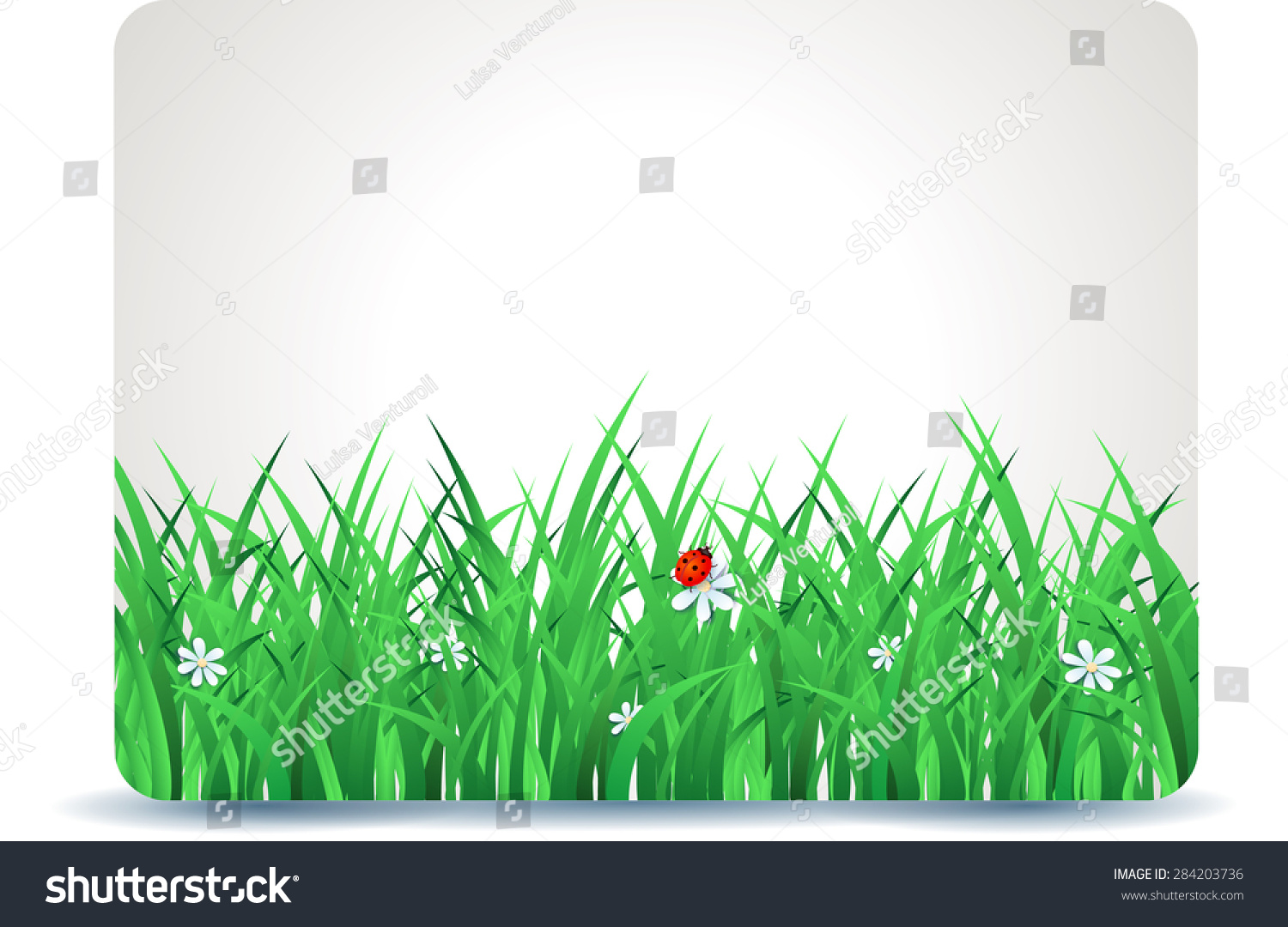 Spring Signboard Grass Vector Illustration Stock Vector (Royalty Free ...