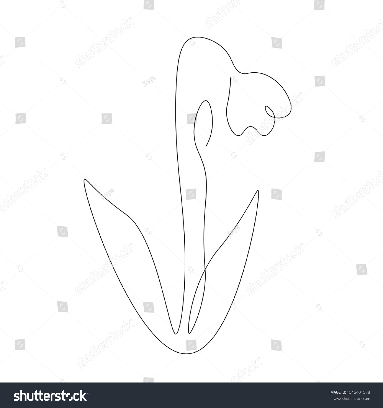 Spring Snowdrop One Line Drawing Vector: Vector có sẵn (miễn phí bản ...
