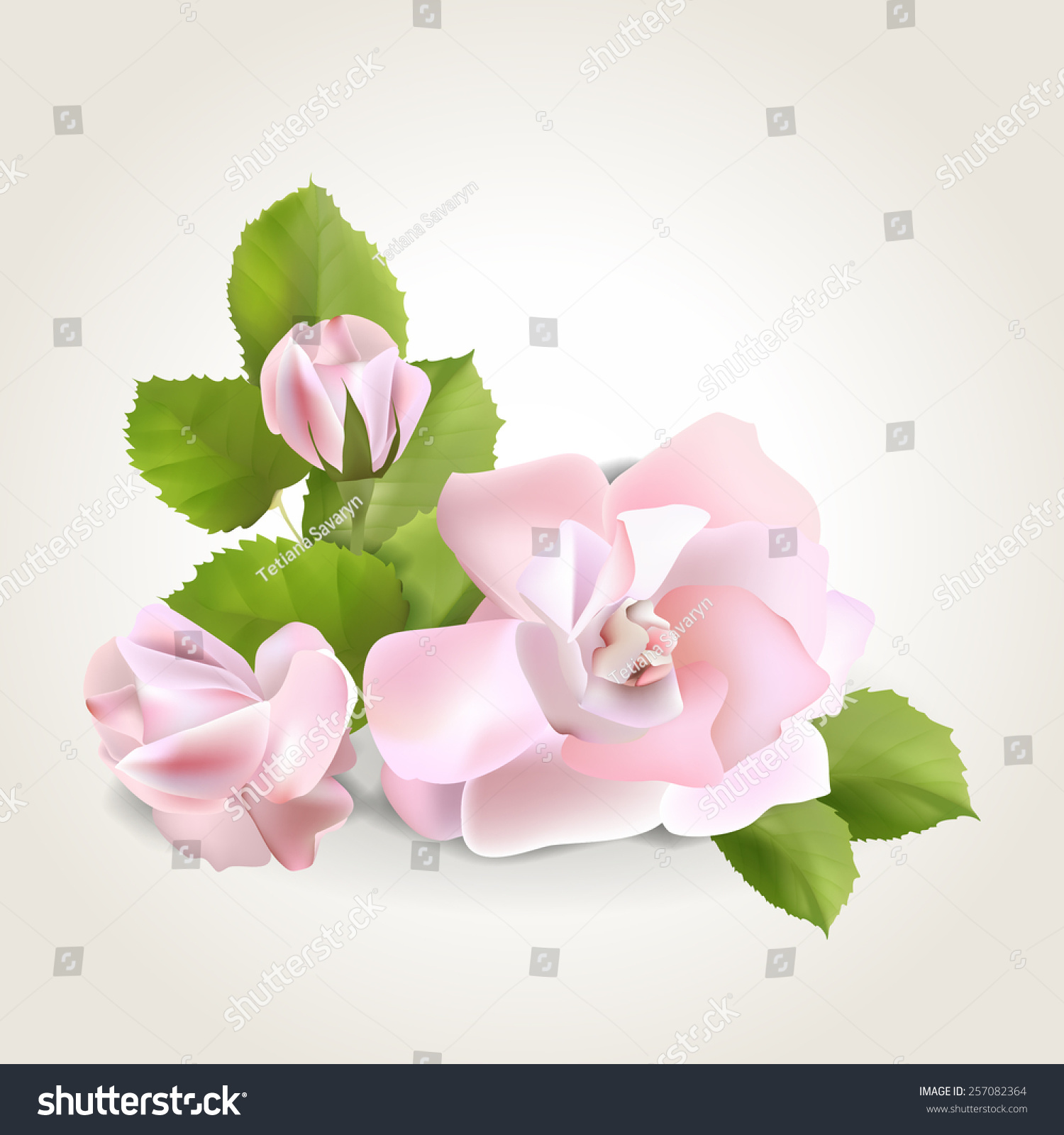 Spring Soft Realistic Roses Corner Vector Stock Vector (Royalty Free ...