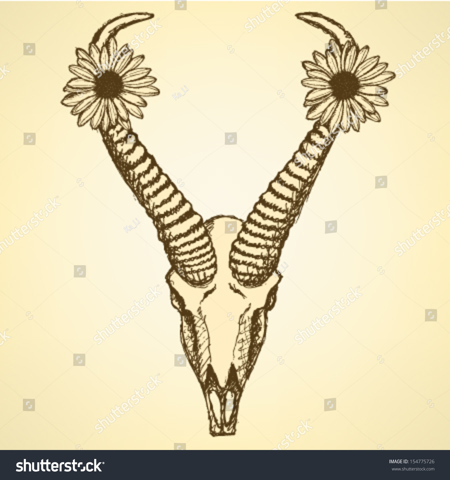 Springbok Skull Daisy Vector Sketch Backdrop Stock Vector (Royalty Free ...