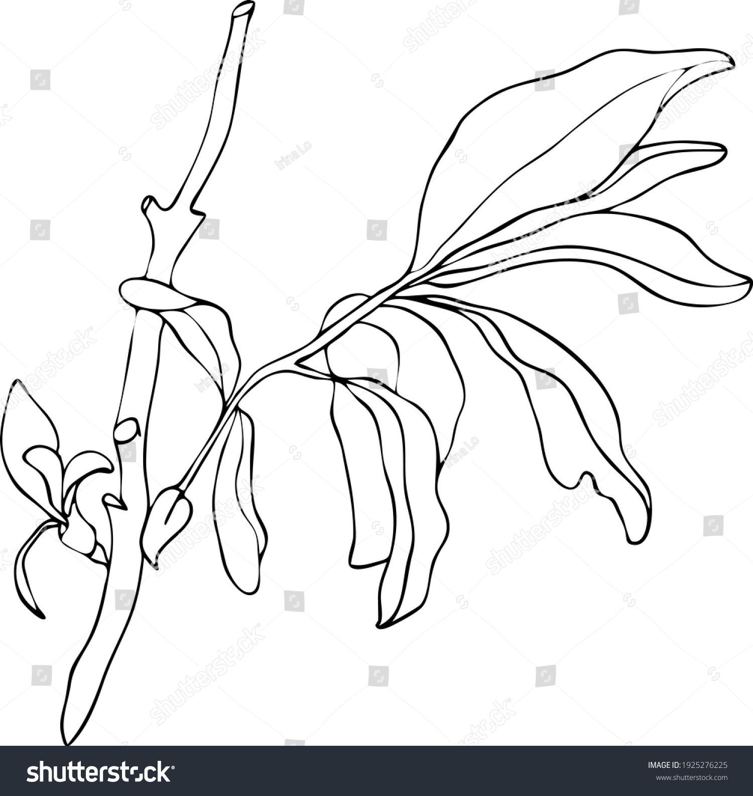 Sprouting Plant Isolated Silhouette Vector Sketch Stock Vector (Royalty ...