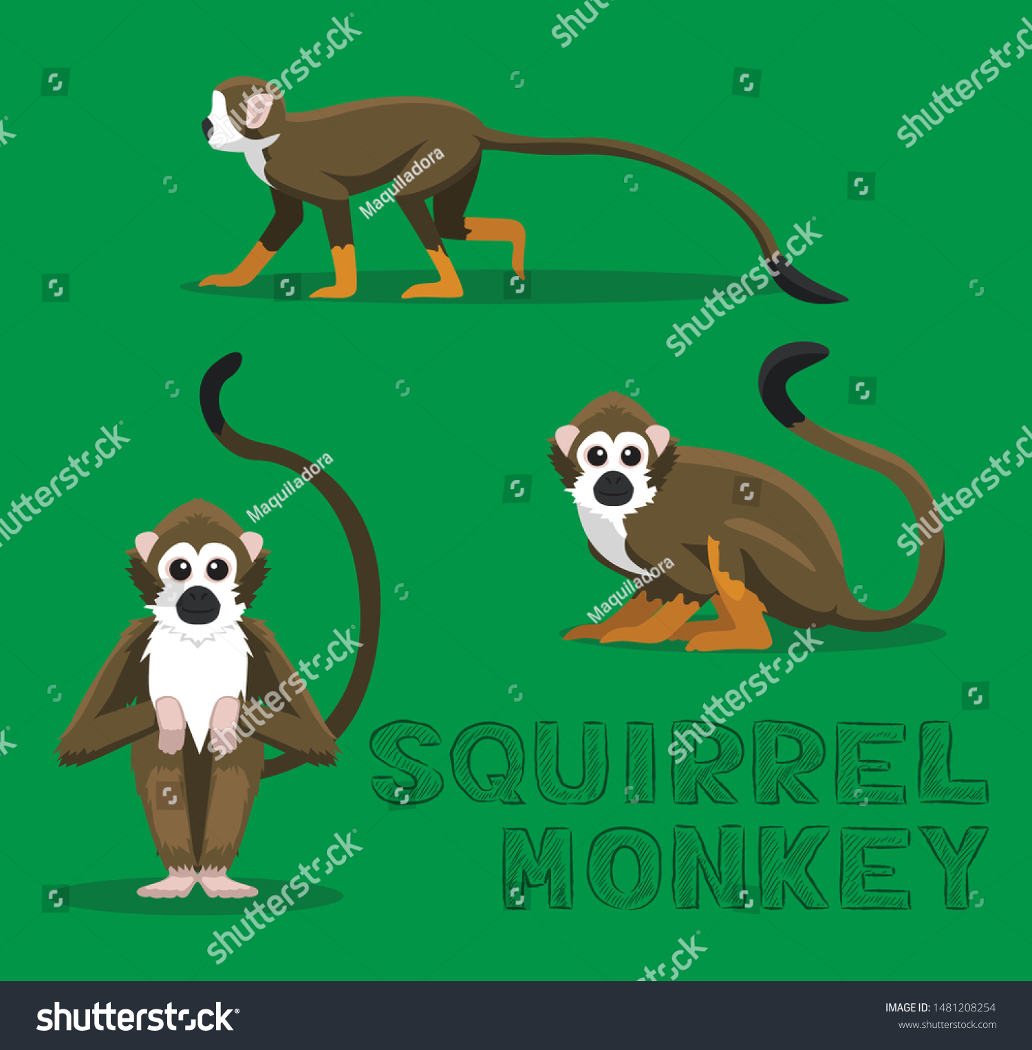 Squirrel Monkey Cartoon Vector Illustration: Vector có sẵn (miễn phí bản quyền) 1481208254 ...