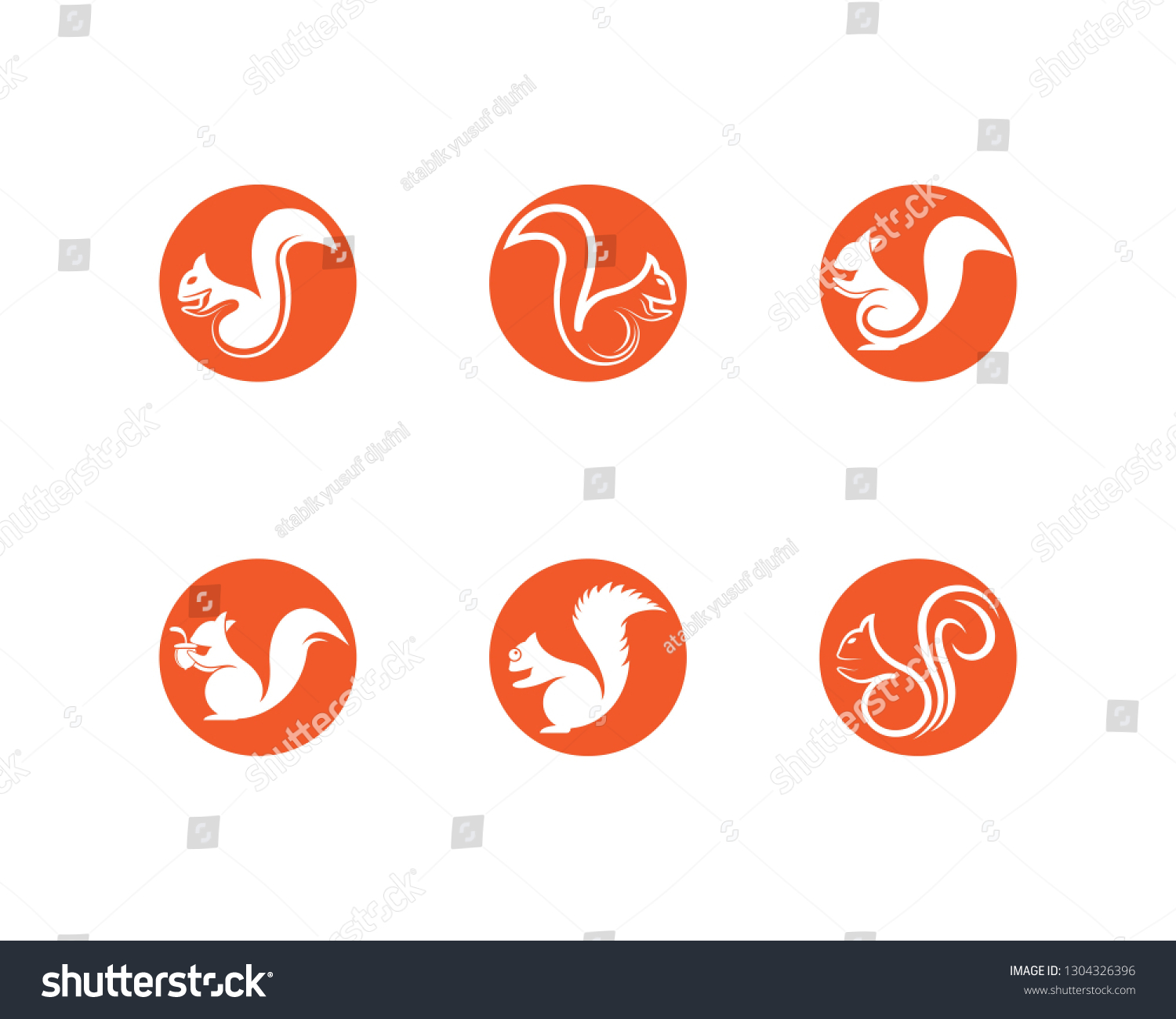 49920 Squirrel Stock Vectors Images And Vector Art Shutterstock
