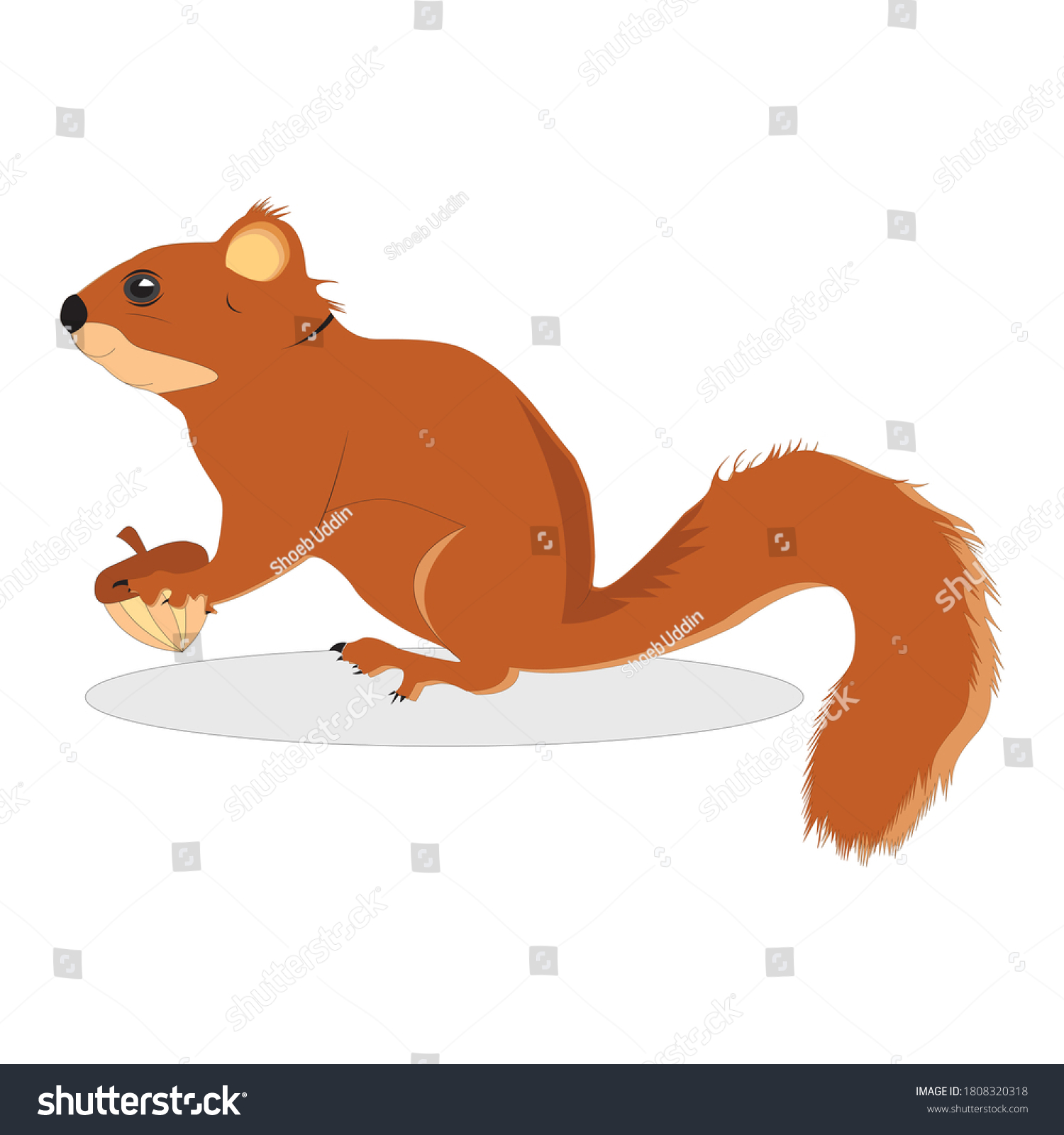 Squirrel Vector Drawing Coloring Book Page Stock Vector (Royalty Free ...