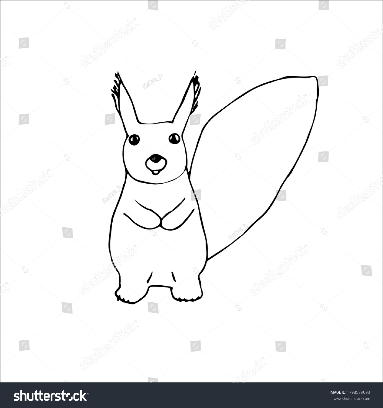 Squirrel Vector Illustration Hand Drawing Stock Vector (Royalty Free ...