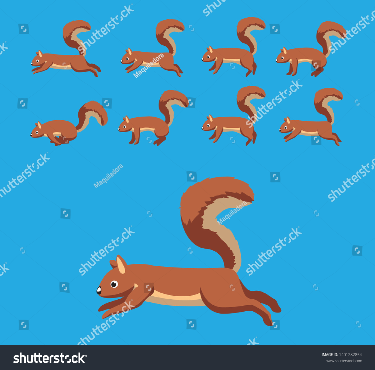 Squirrel Walking Motion Animation Sequence Cartoon Stock Vector ...
