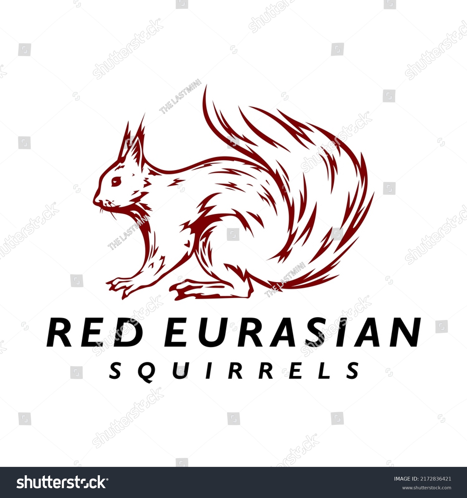 Squirrels Red Eurasian Logo Designs Icon Stock Vector (Royalty Free ...