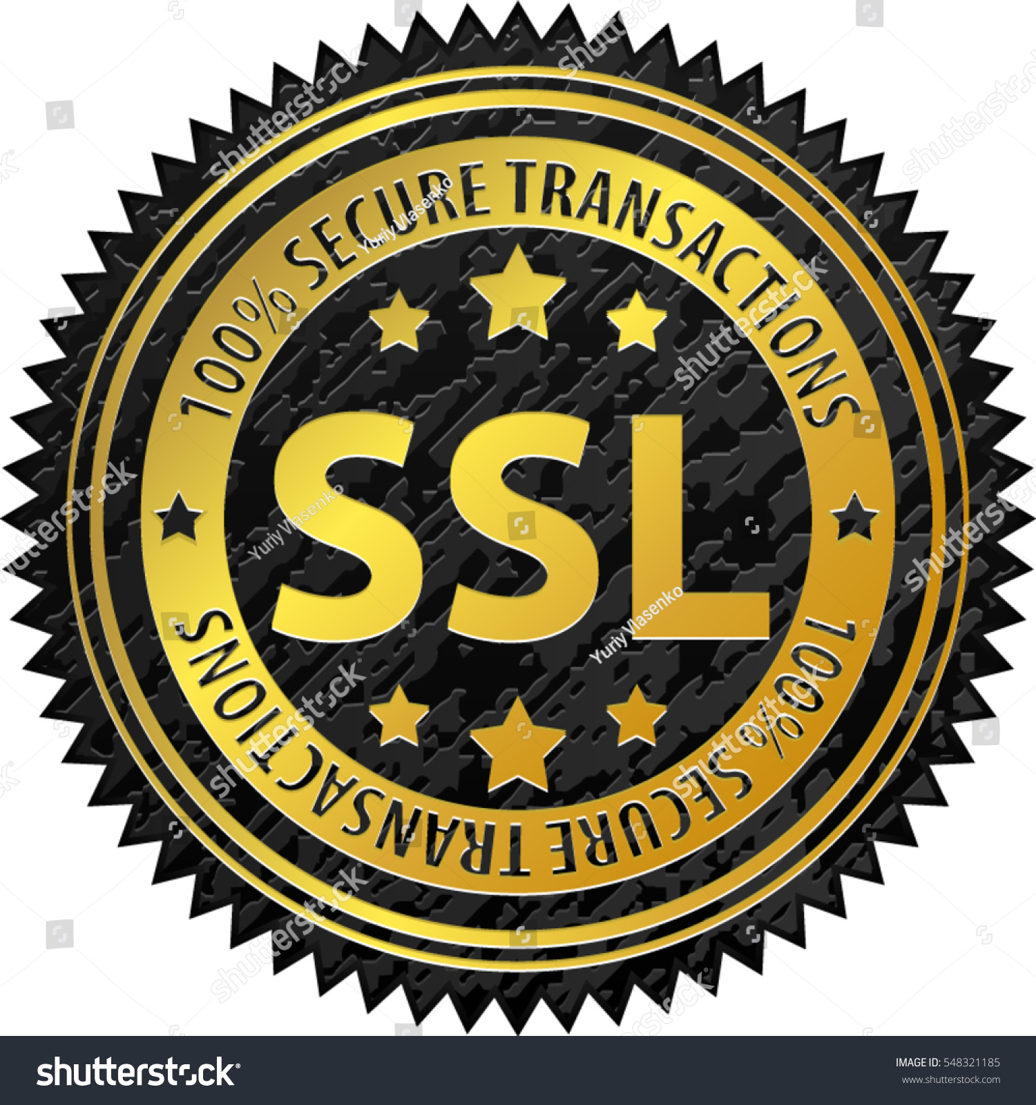 Ssl 100 Safety Guarantee Stock Vector (Royalty Free) 548321185 ...
