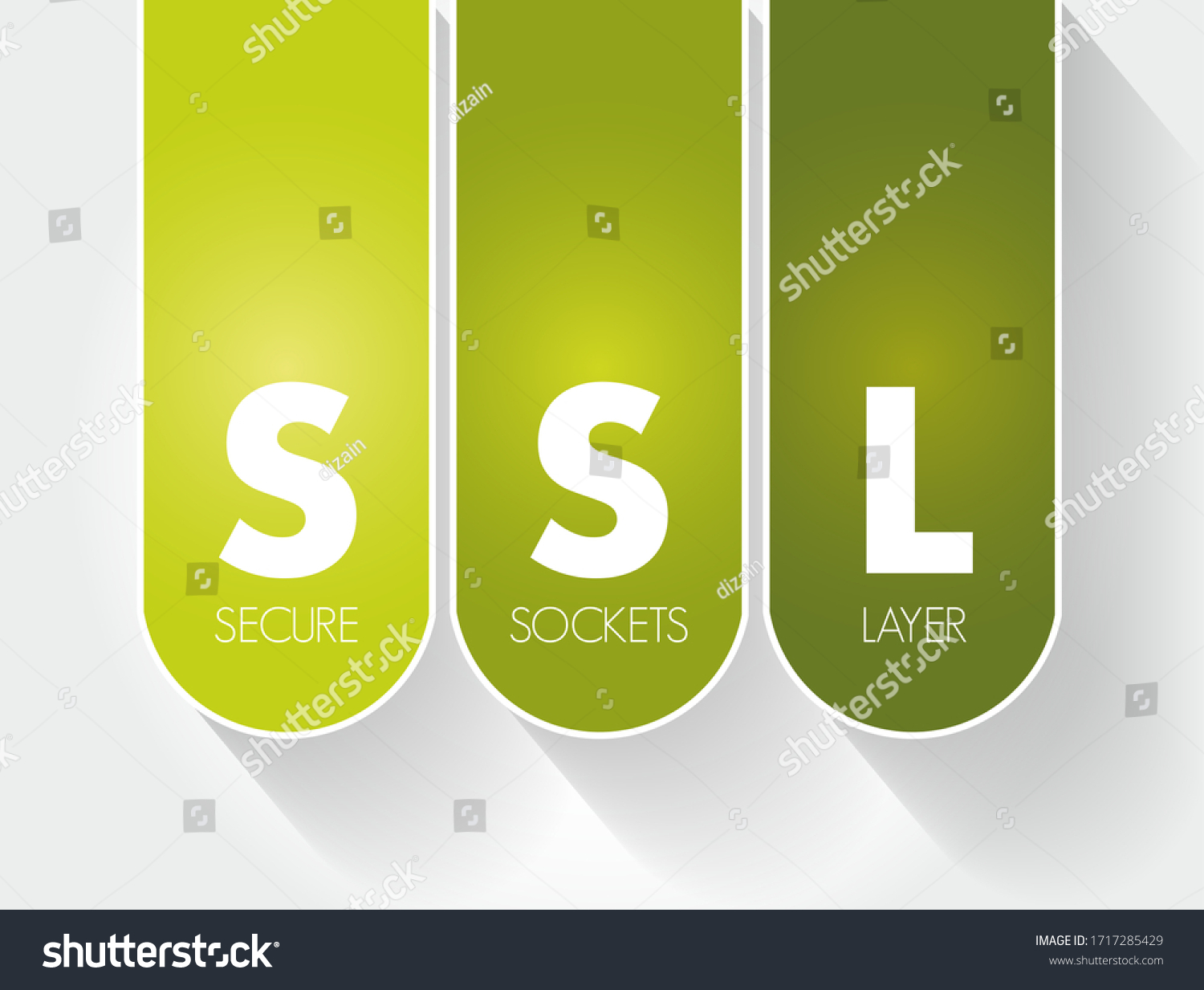 Ssl Secure Sockets Layer Cryptographic Protocol Stock Vector Royalty Free 1717285429 0632