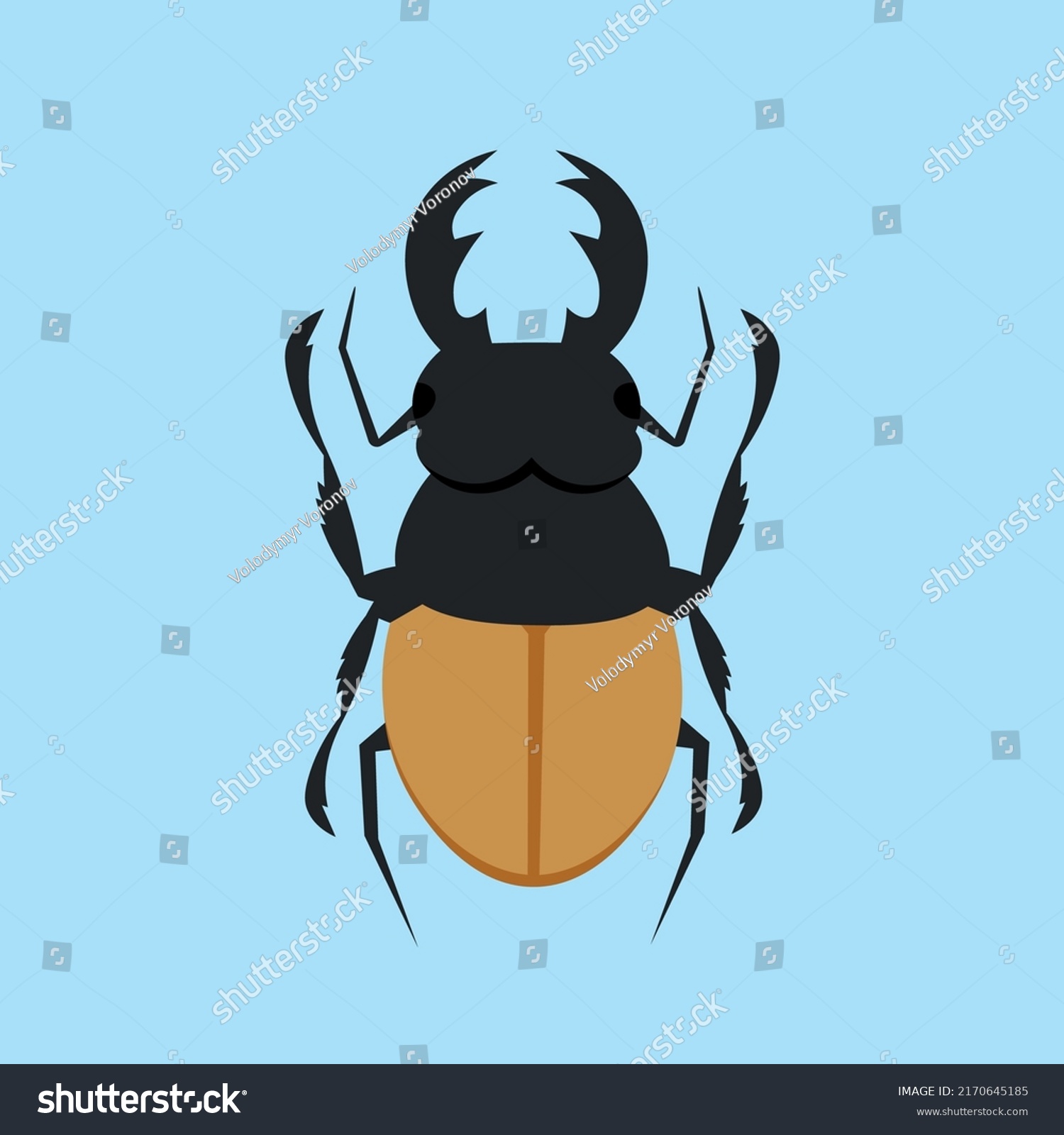 Stag Beetle Illustration Top View Stock Vector (Royalty Free ...