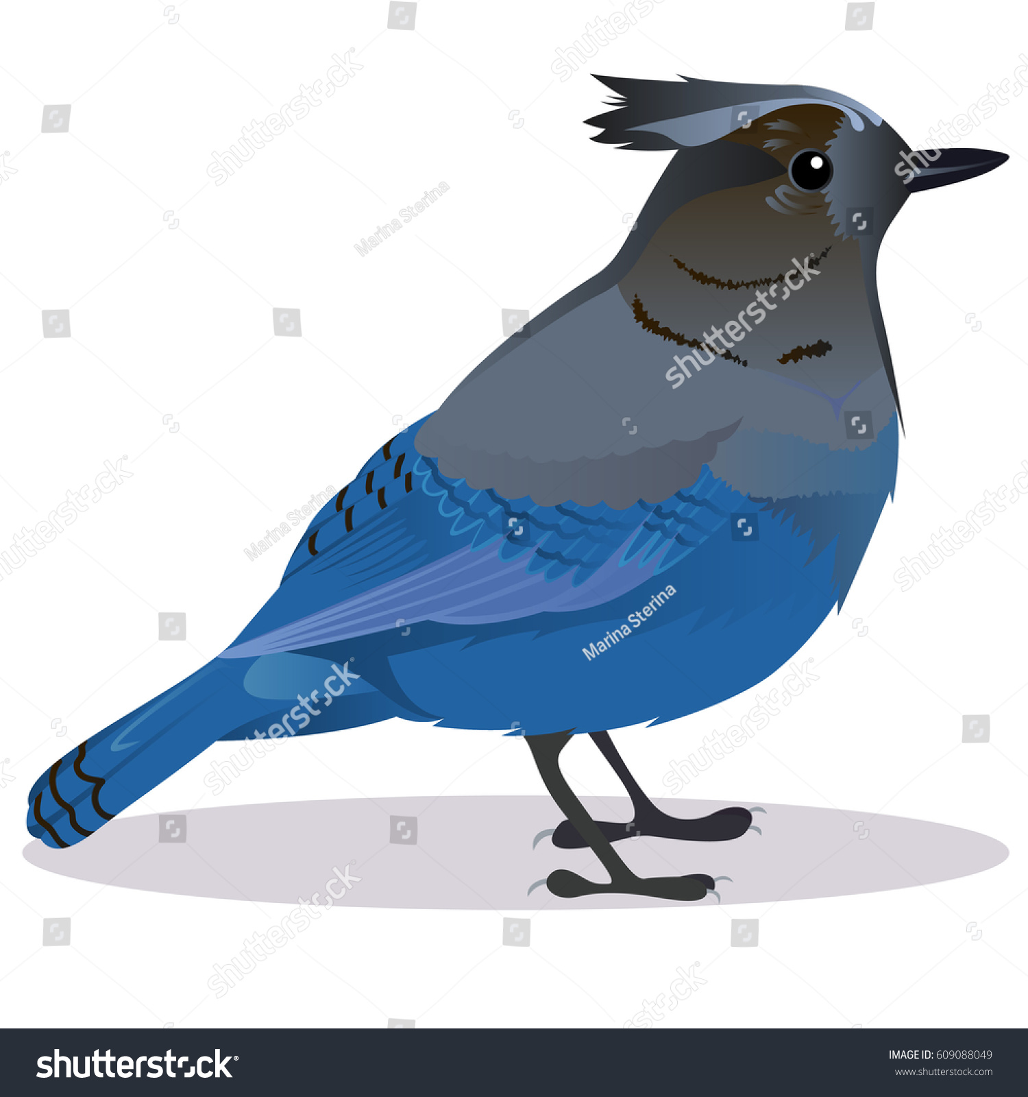 Stalker Joke Bird Stock Vector (Royalty Free) 609088049 | Shutterstock
