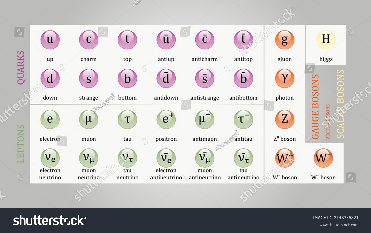 208 Standard model physics 图片、库存照片和矢量图 | Shutterstock