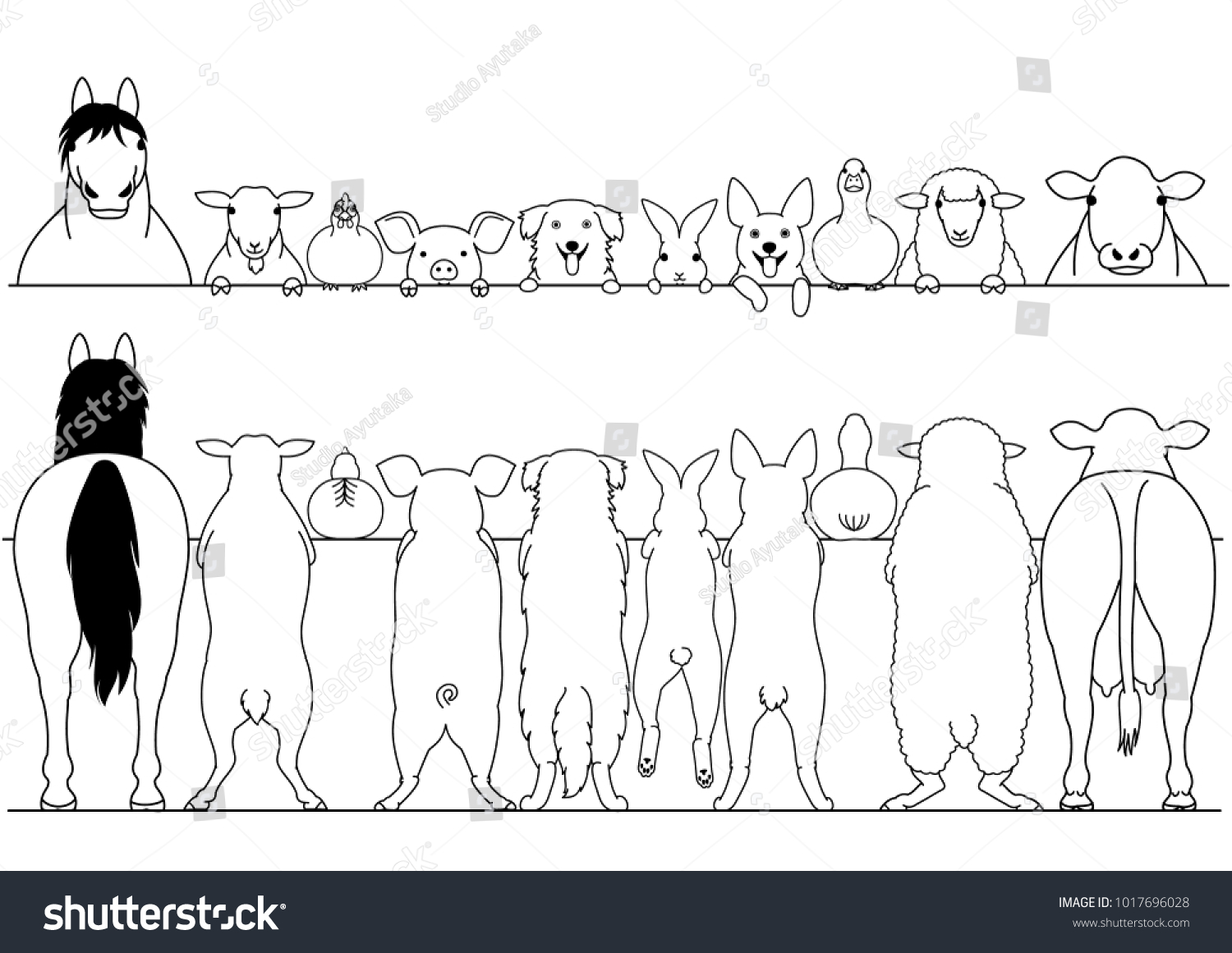 608 Rear view duck Images, Stock Photos & Vectors | Shutterstock