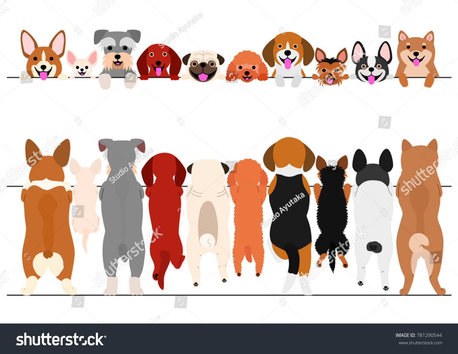 Standing Small Dogs Front Back Border Stock Vector (Royalty Free ...