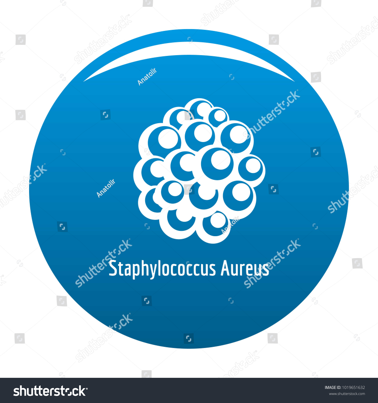 Staphylococcus Aureus Icon Vector Blue Circle Stock Vector (Royalty ...