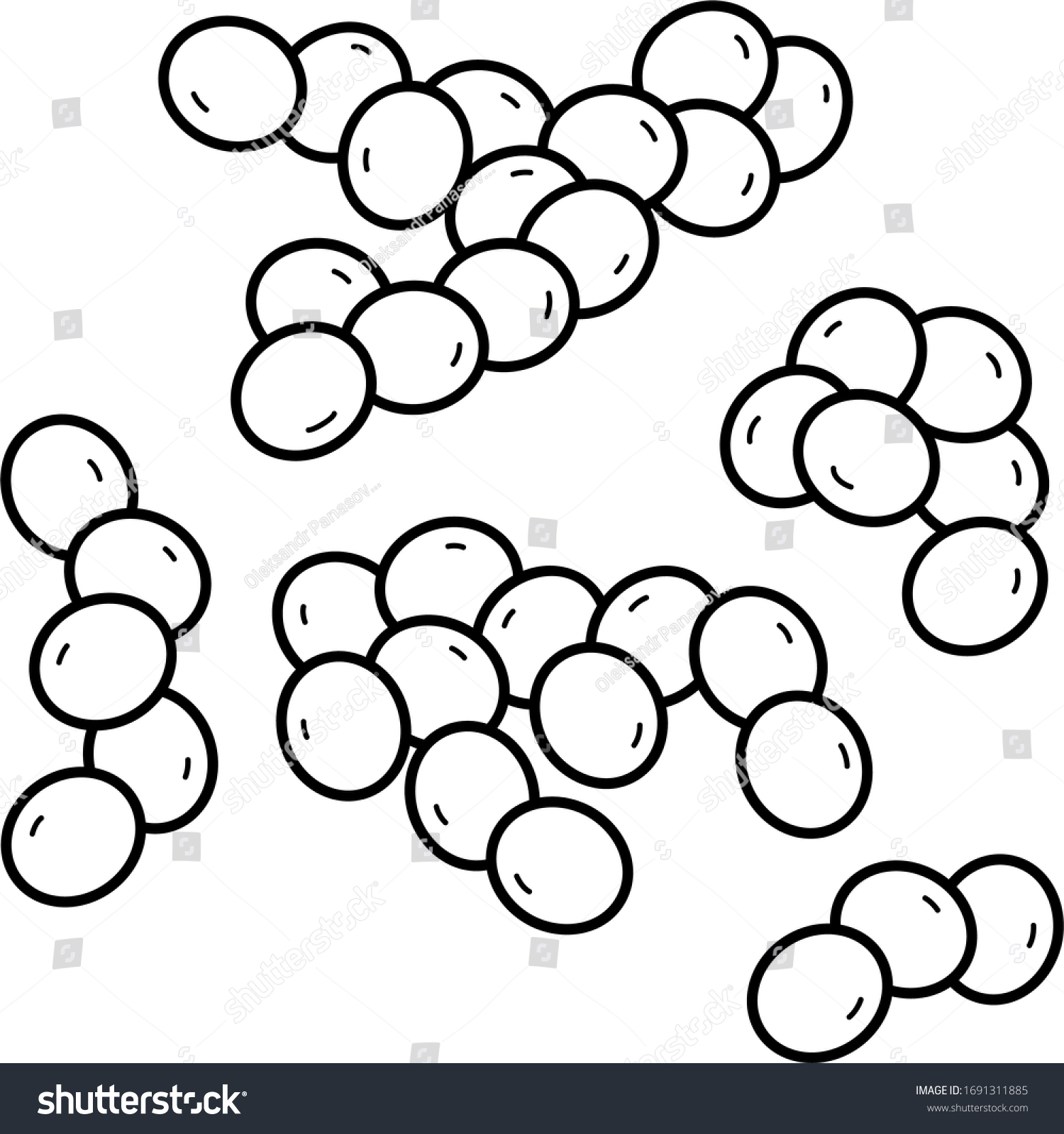 Staphylococcus Bacteria Vector Outline Icon: เวกเตอร์สต็อก (ปลอดค่า ...