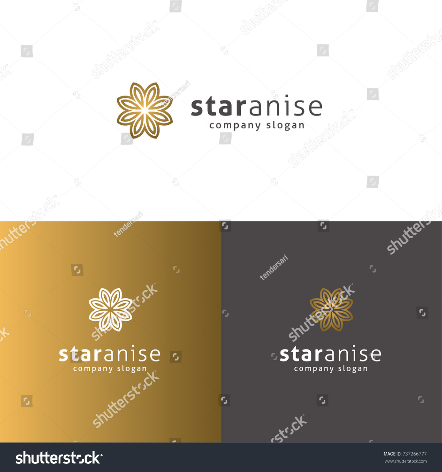 Star Anise Logo Stock Vector (Royalty Free) 737266777 | Shutterstock
