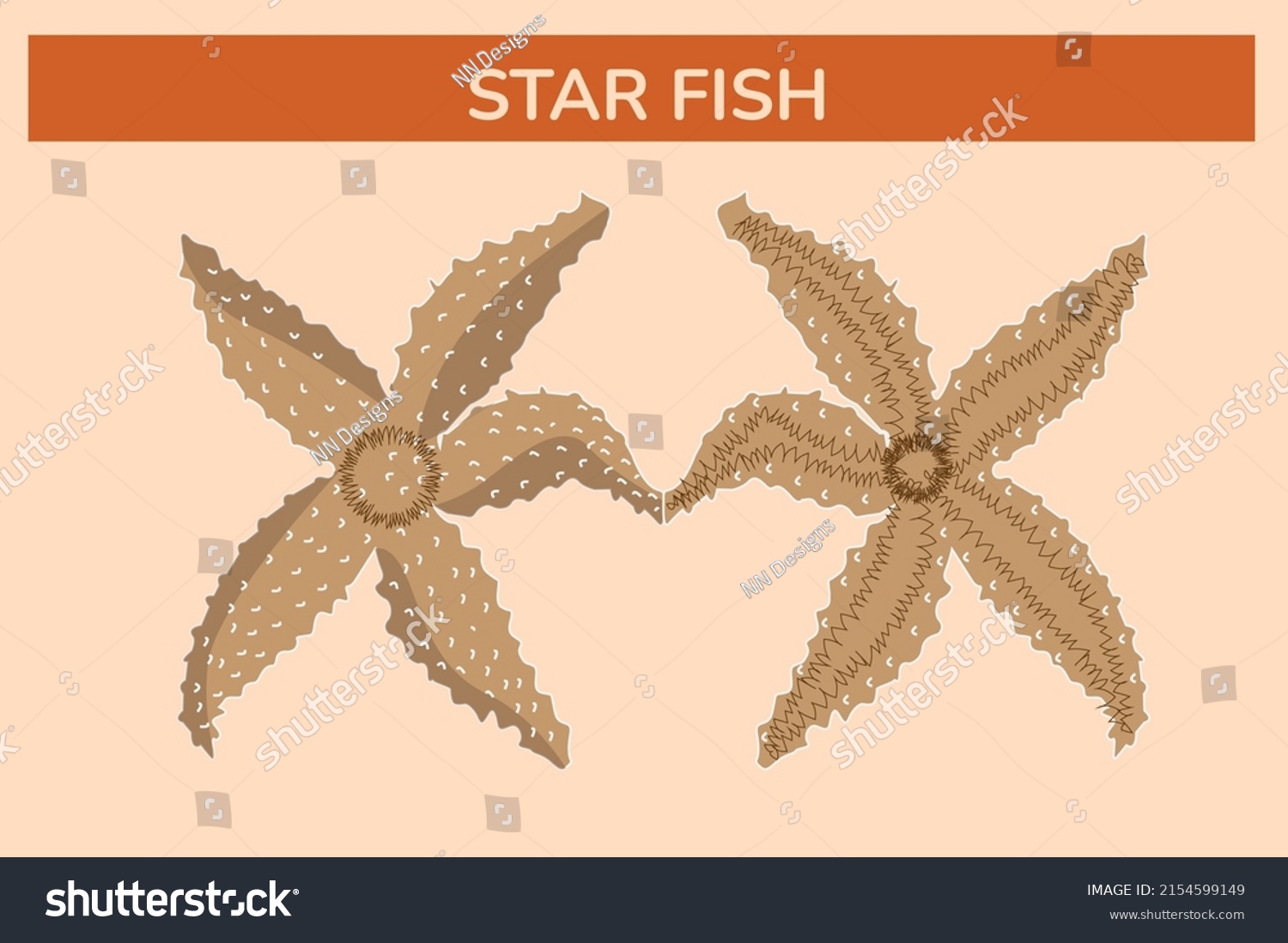 Star Fish Vector Diagram Illustration Stock Vector (Royalty Free ...