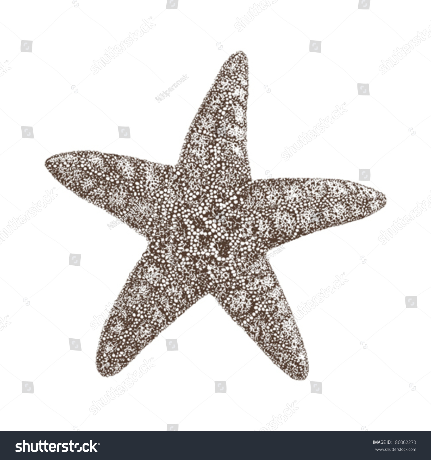 Starfish Handdrawn Vector Illustration Stock Vector (Royalty Free ...
