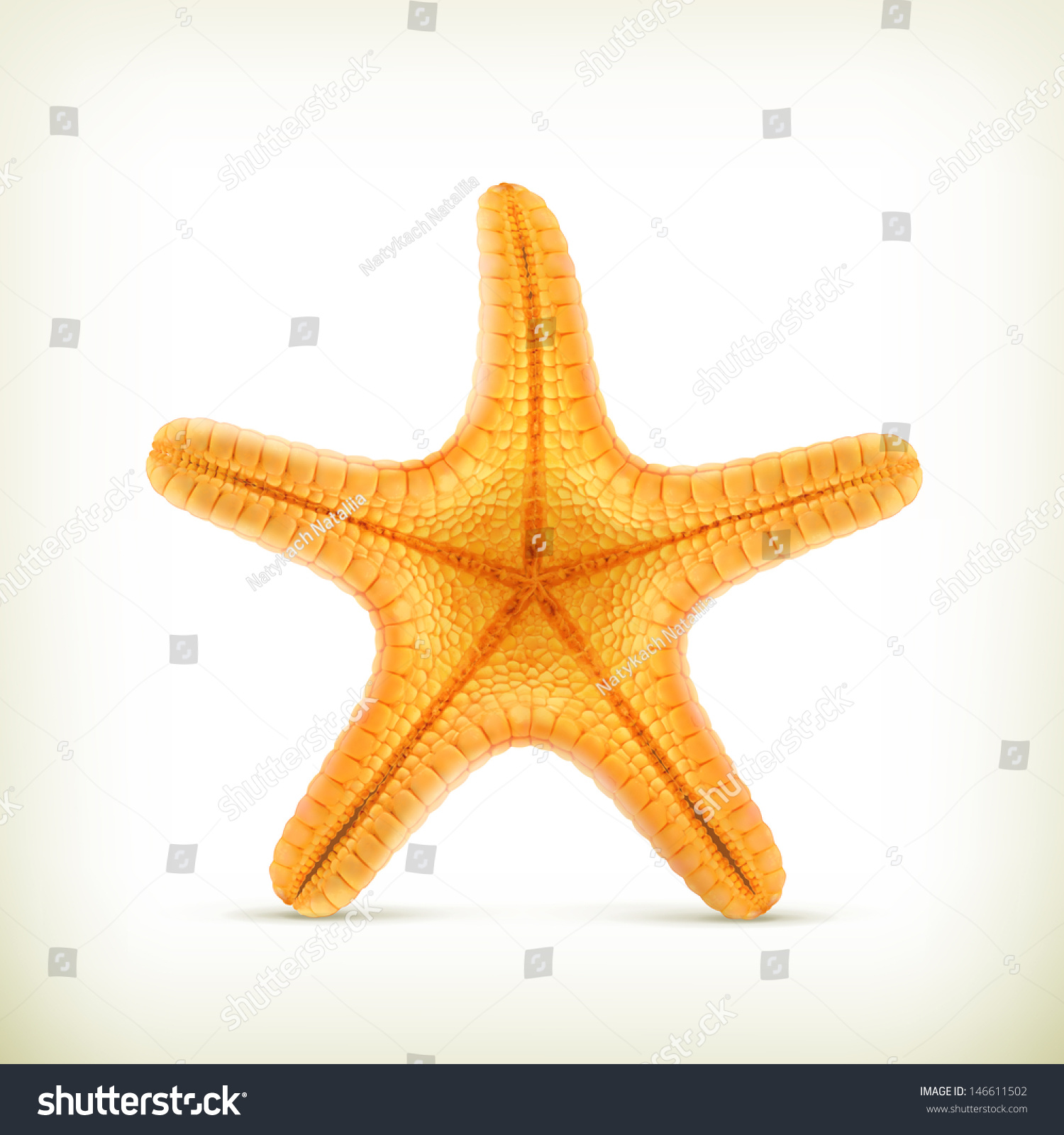 Starfish Realistic Vector Icons: เวกเตอร์สต็อก (ปลอดค่าลิขสิทธิ์ ...