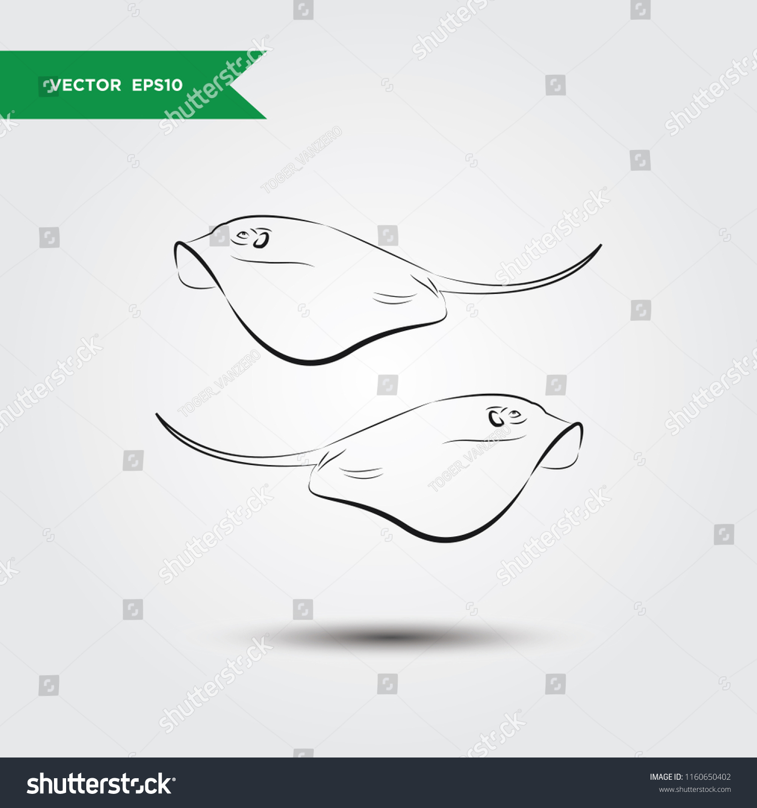 Stingray Graphic Design Template Stock Vector (Royalty Free) 1160650402 ...
