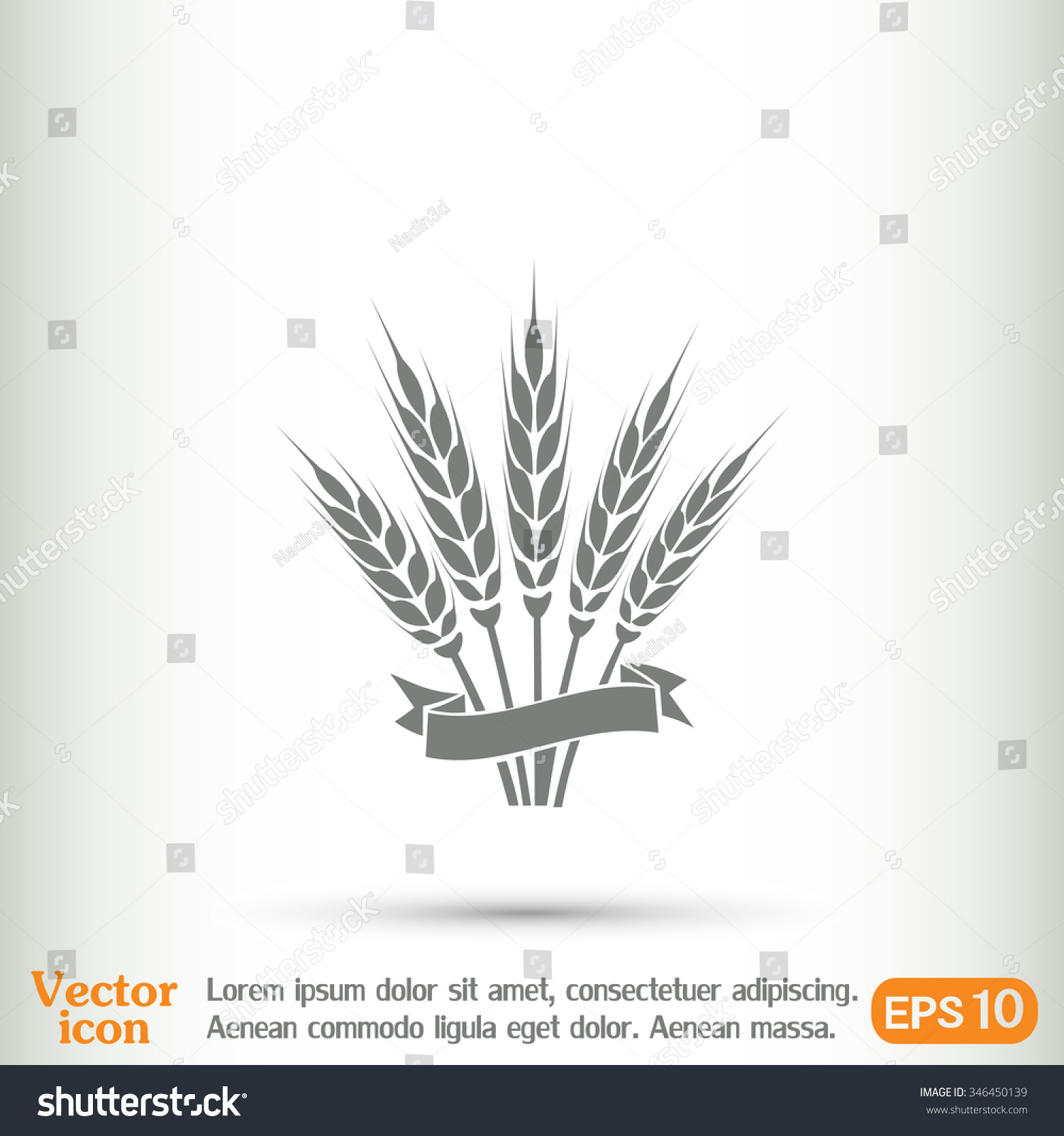 Stock Vector Illustration Wheat Stock Vector (Royalty Free) 346450139 ...