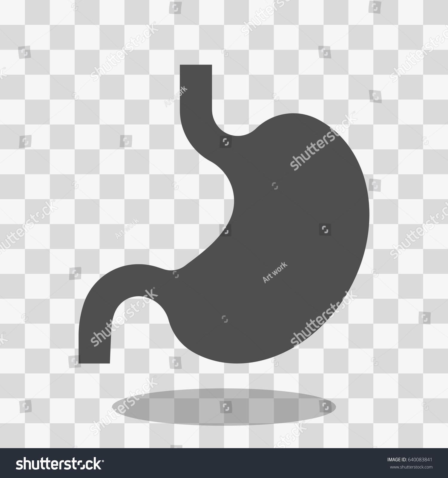 Stomach Icon Stock Vector (Royalty Free) 640083841 | Shutterstock